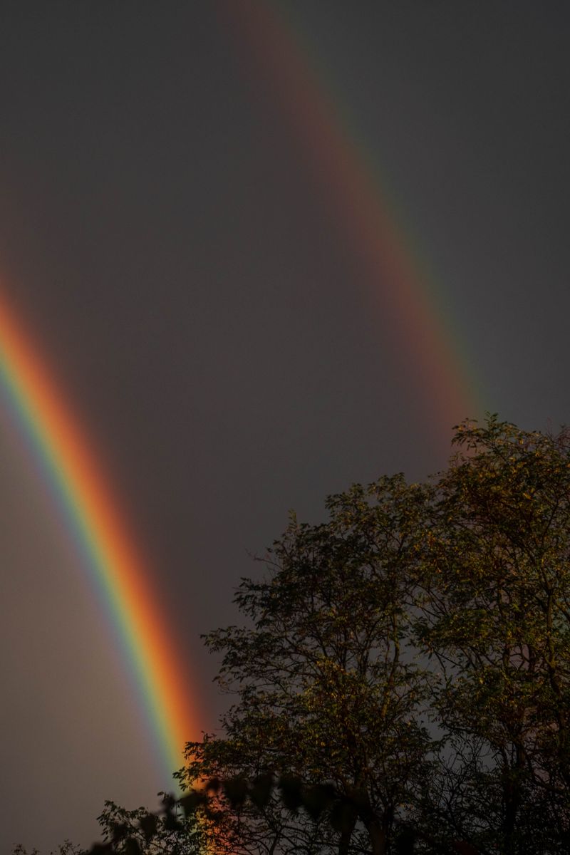 Rainbow Tv Series Photos, Download The BEST Free Rainbow Tv Series ...