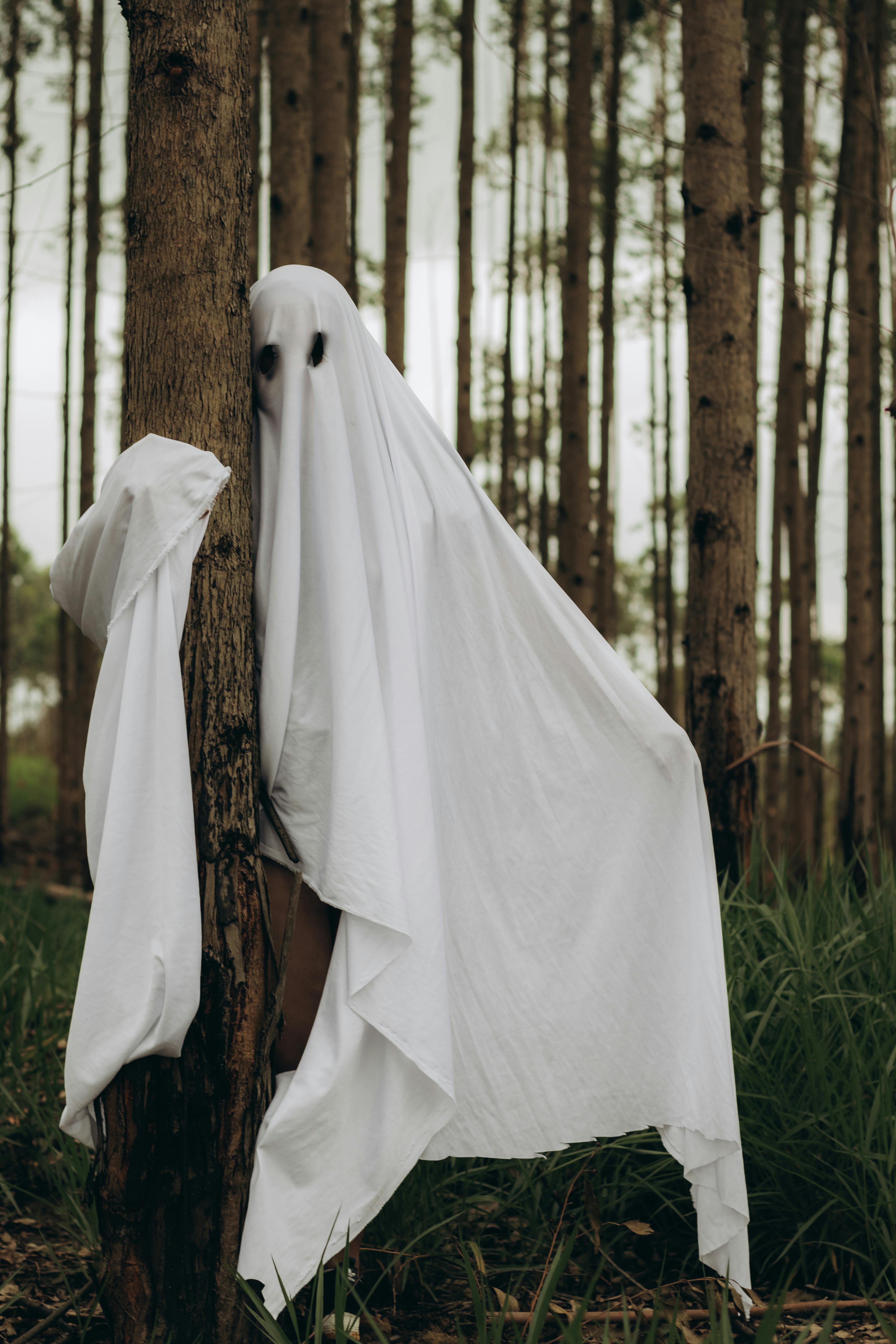 A Ghost Hiding Behind a Tree · Free Stock Photo