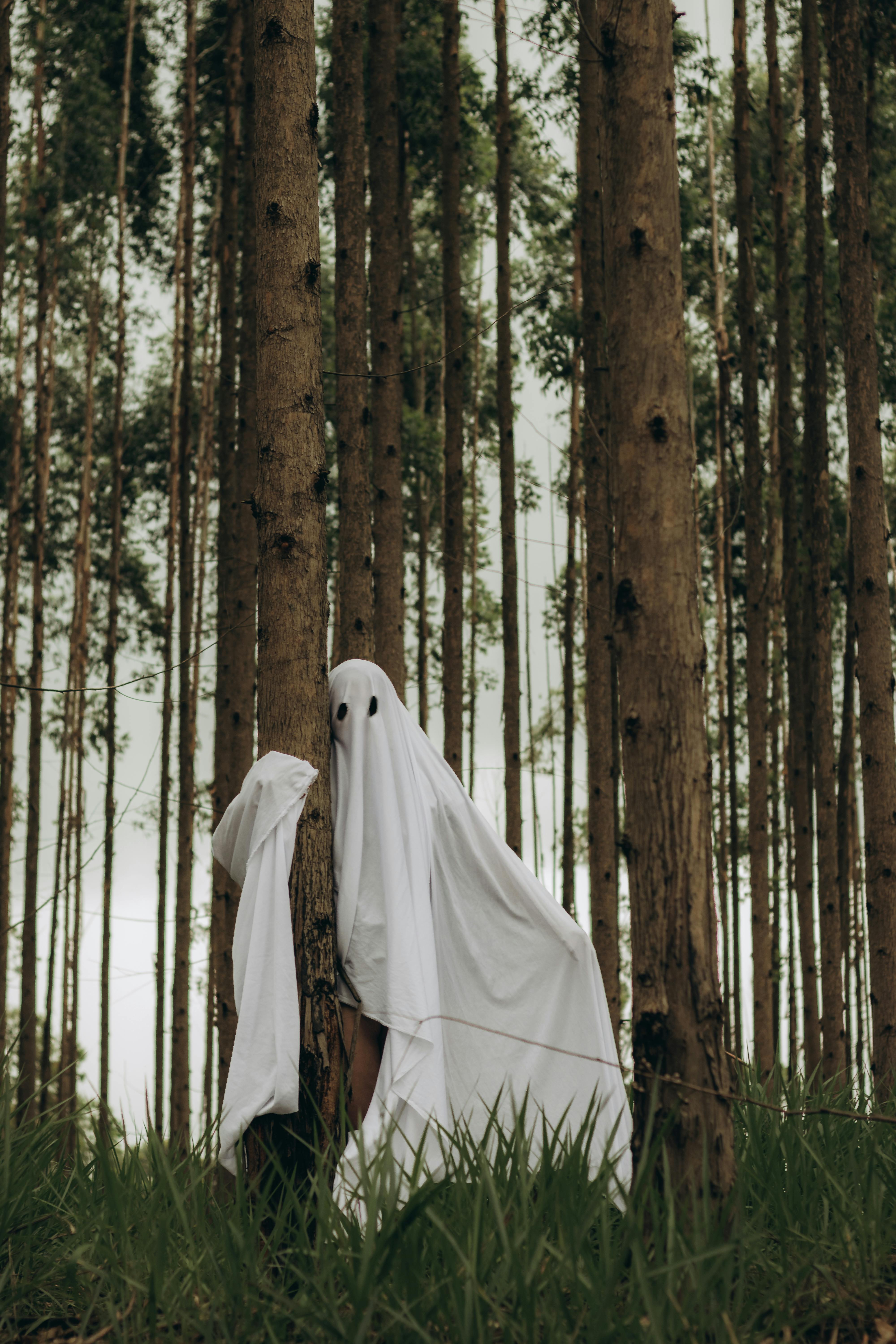 Ghost in Forest · Free Stock Photo