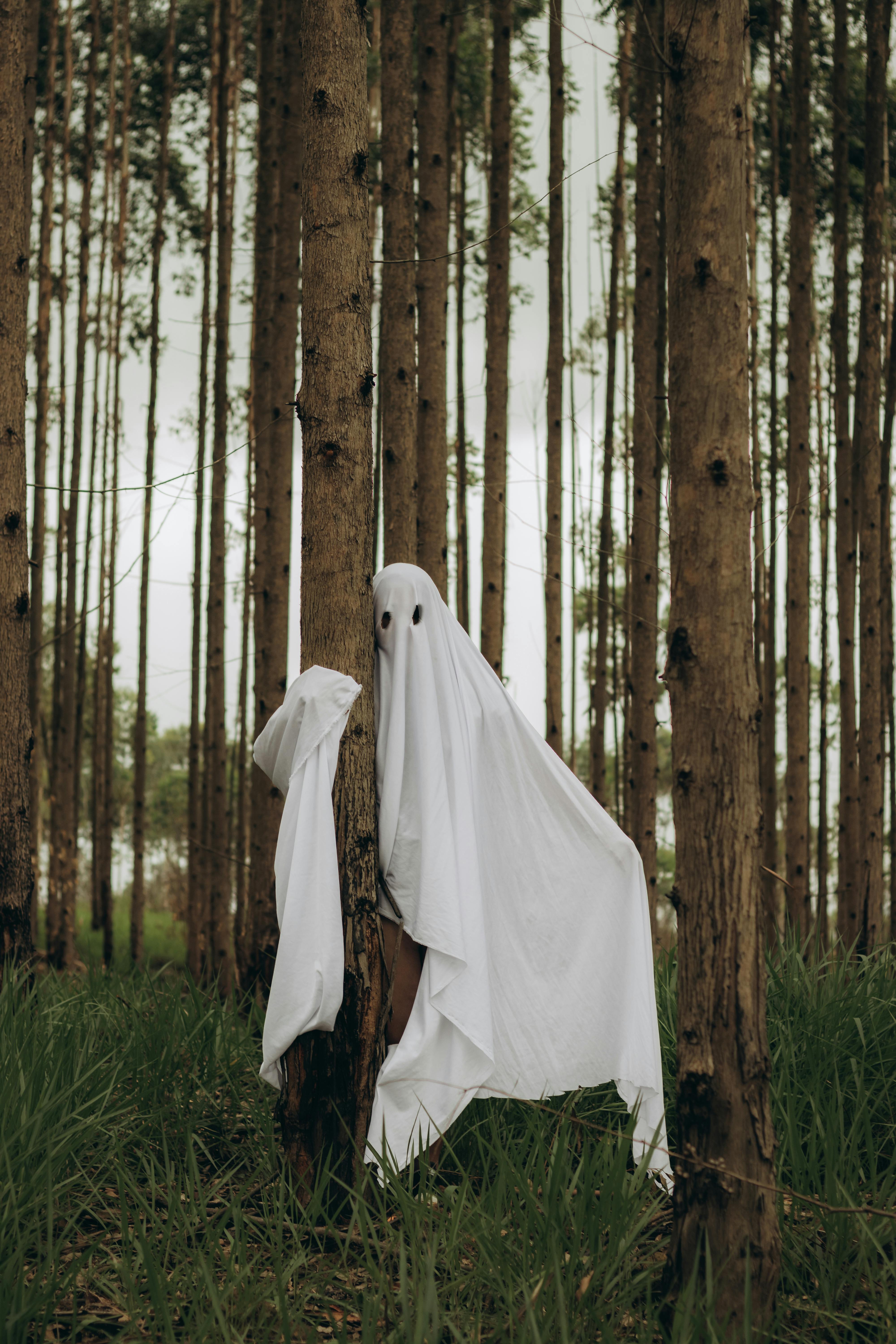 Ghost among Trees in Forest · Free Stock Photo