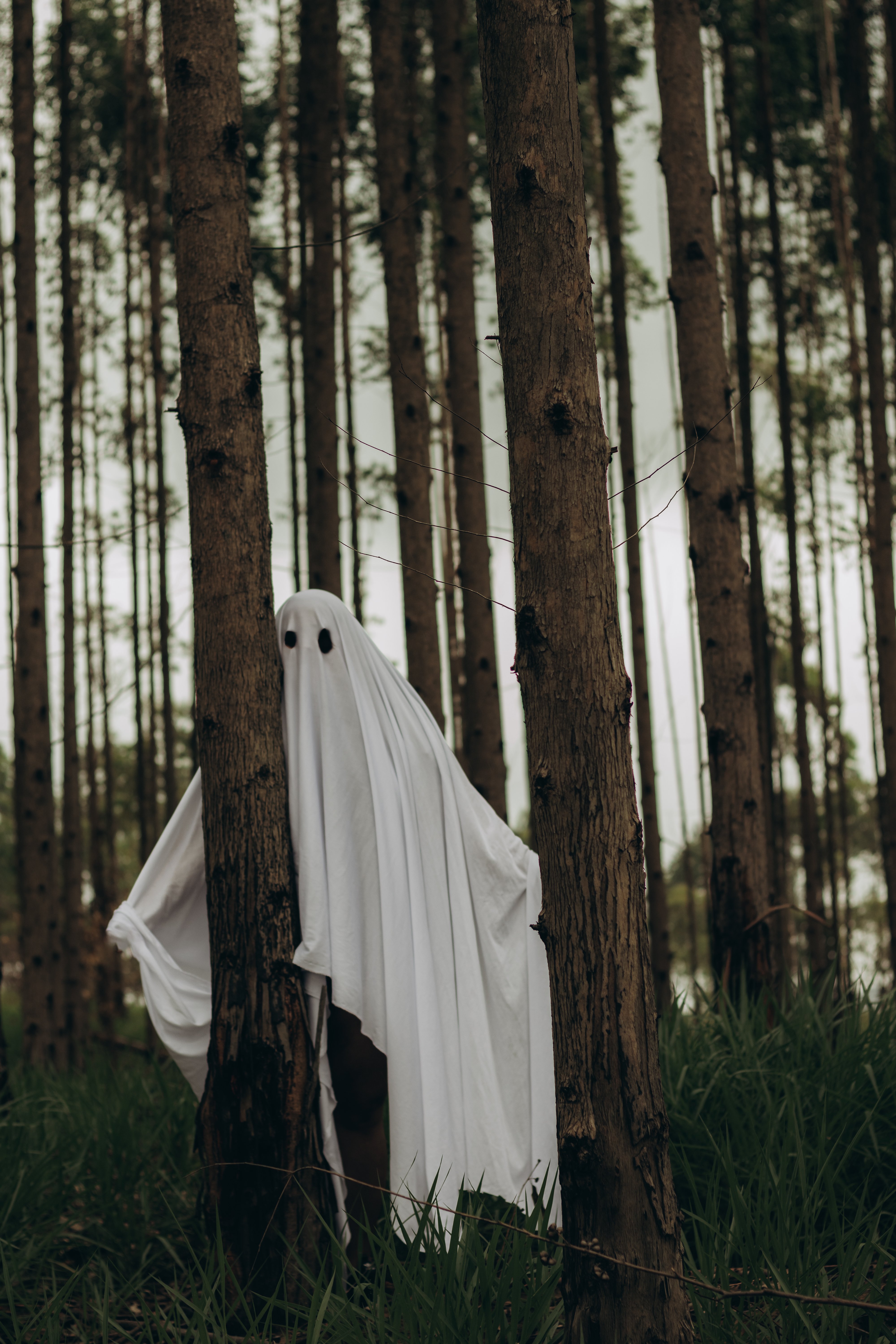 A Person Wearing a Ghost Costume · Free Stock Photo