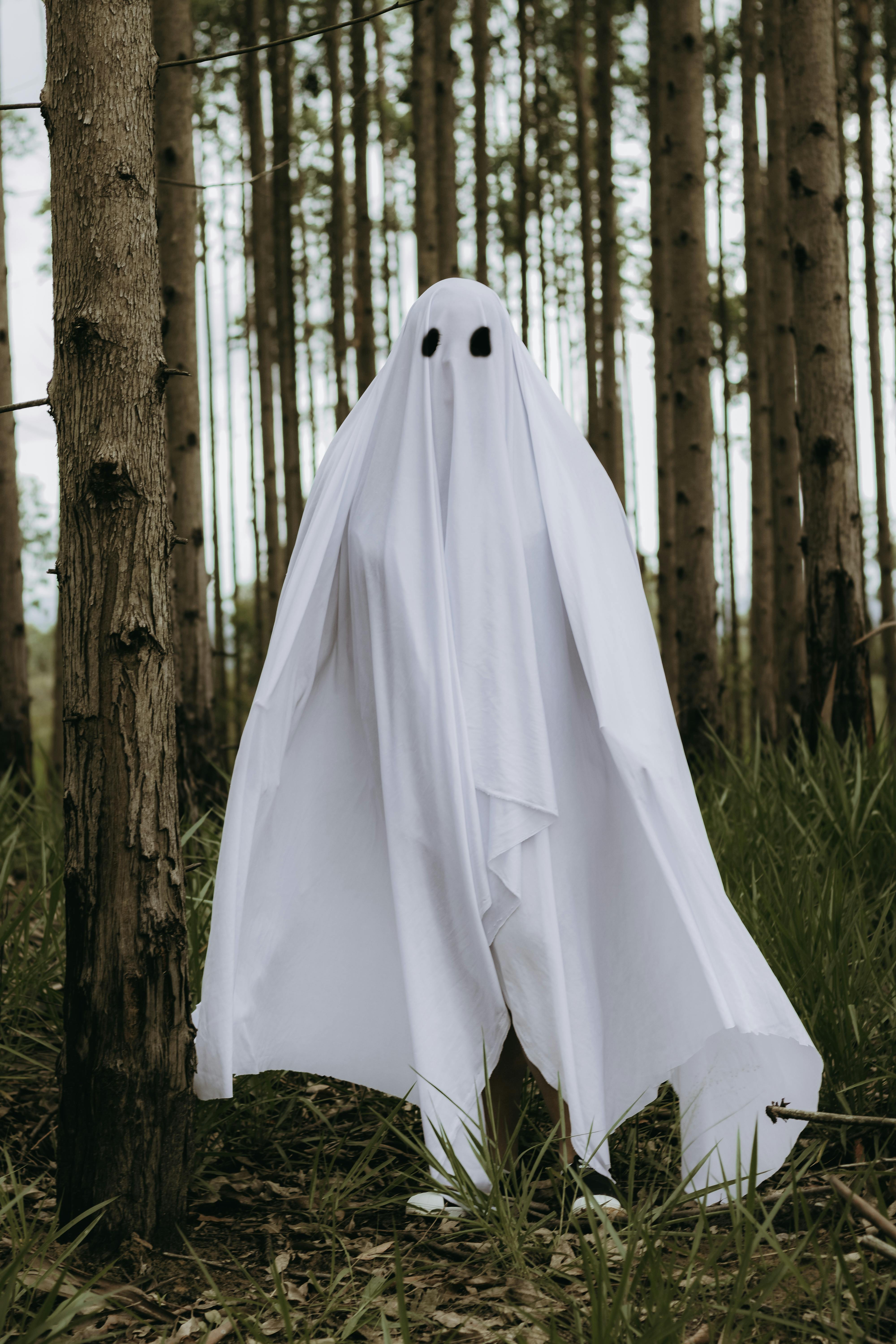 A Ghost in the Forest · Free Stock Photo