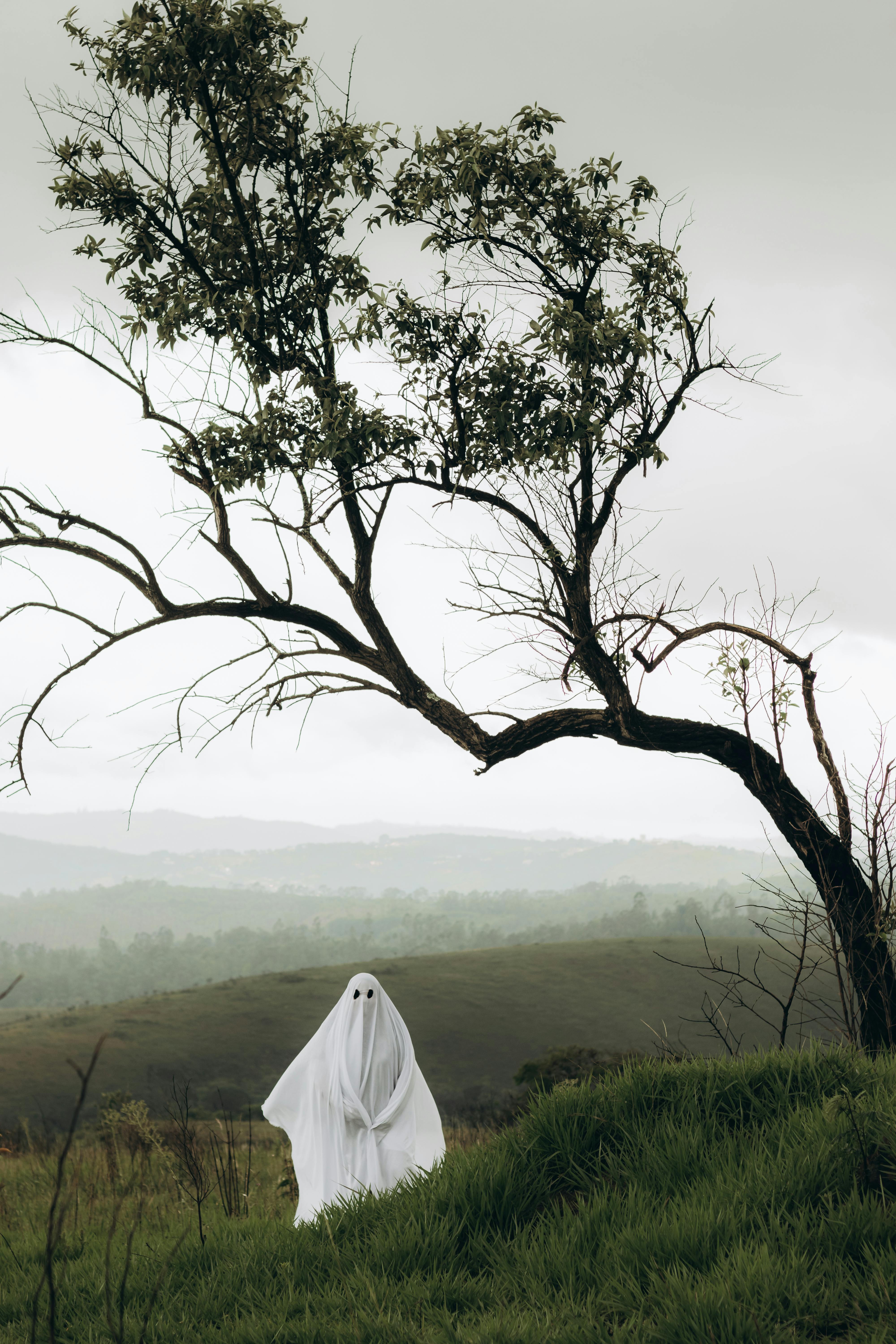 Person in ghost costume dancing on empty foggy road · Free Stock Photo