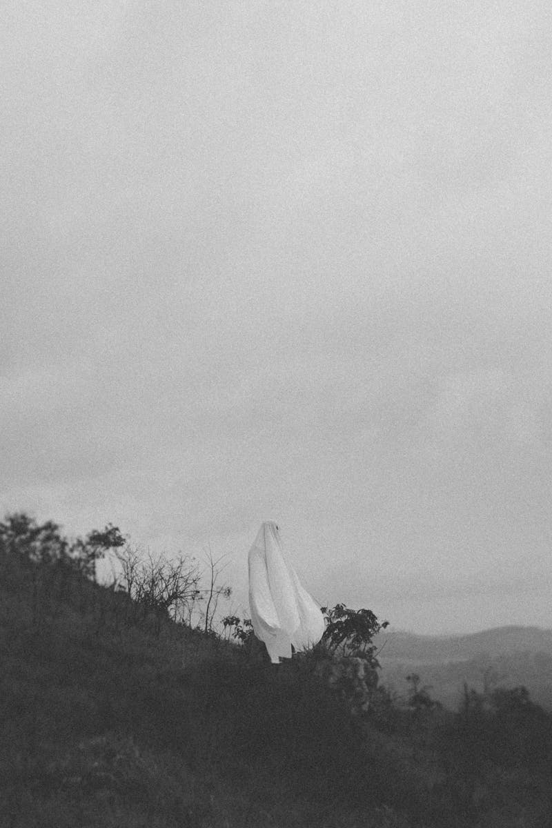 Ghosting Photos, Download The BEST Free Ghosting Stock Photos & HD Images