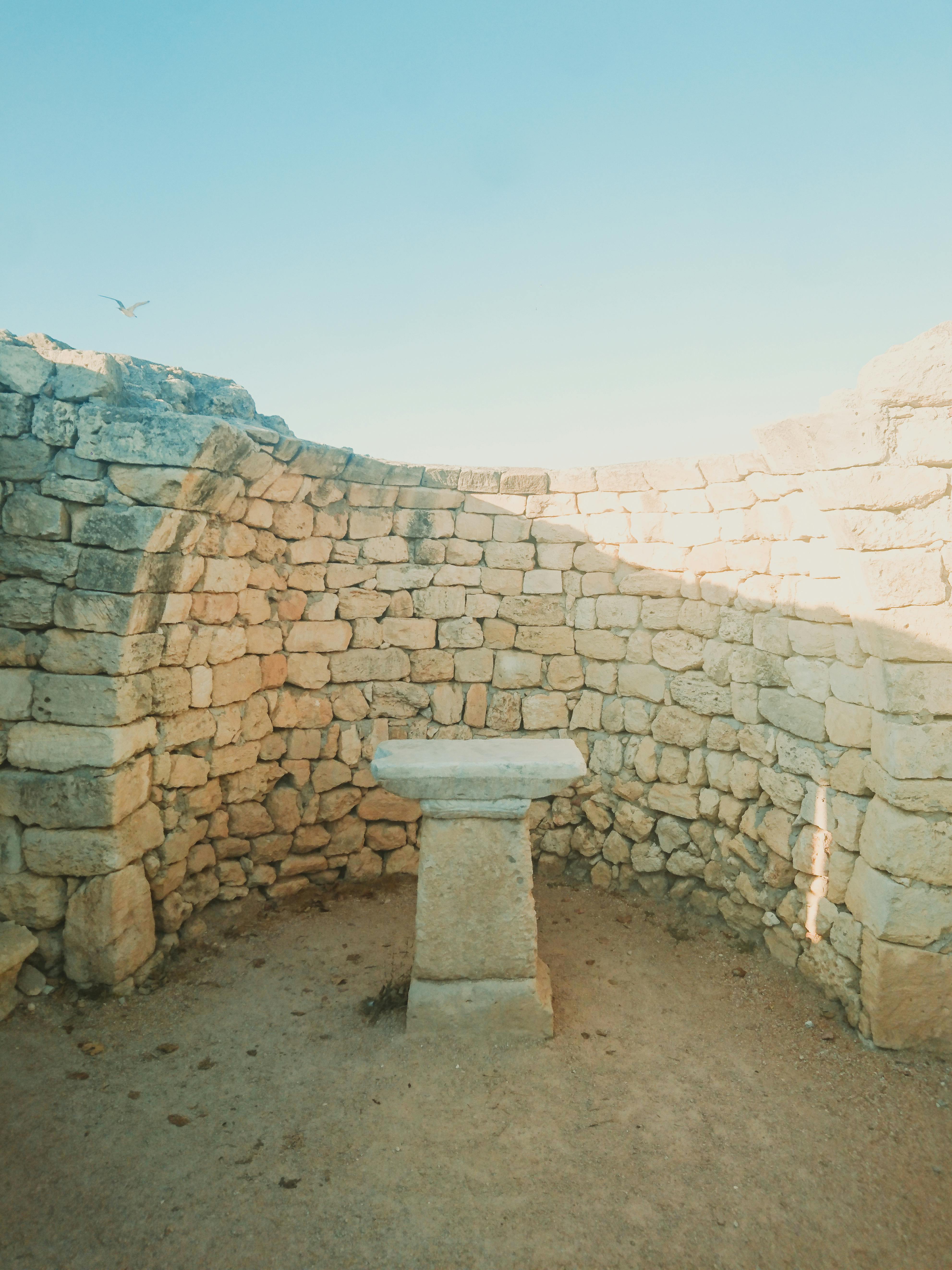 Tamula Aura - Photography