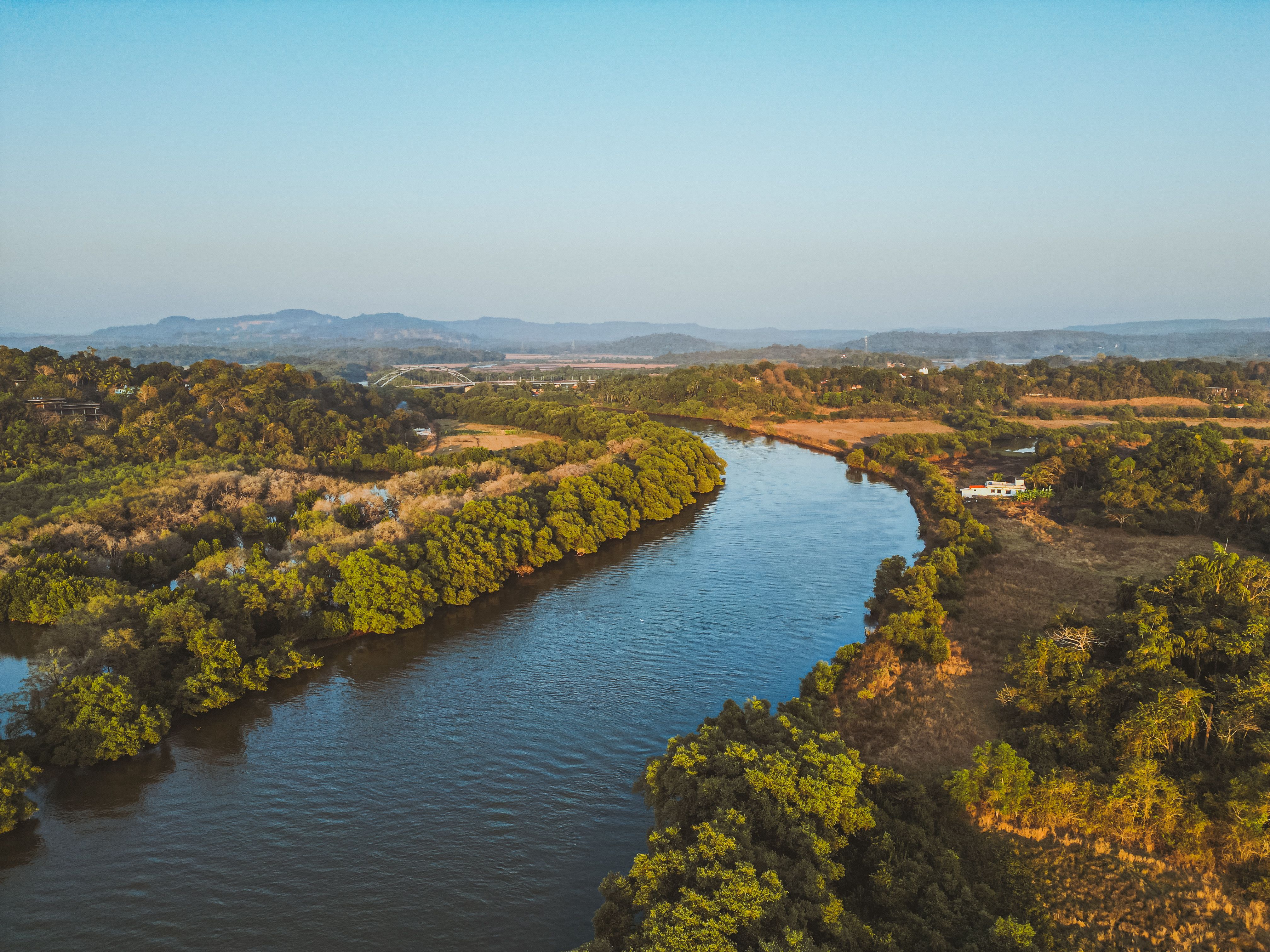 River and Trees on Plains · Free Stock Photo