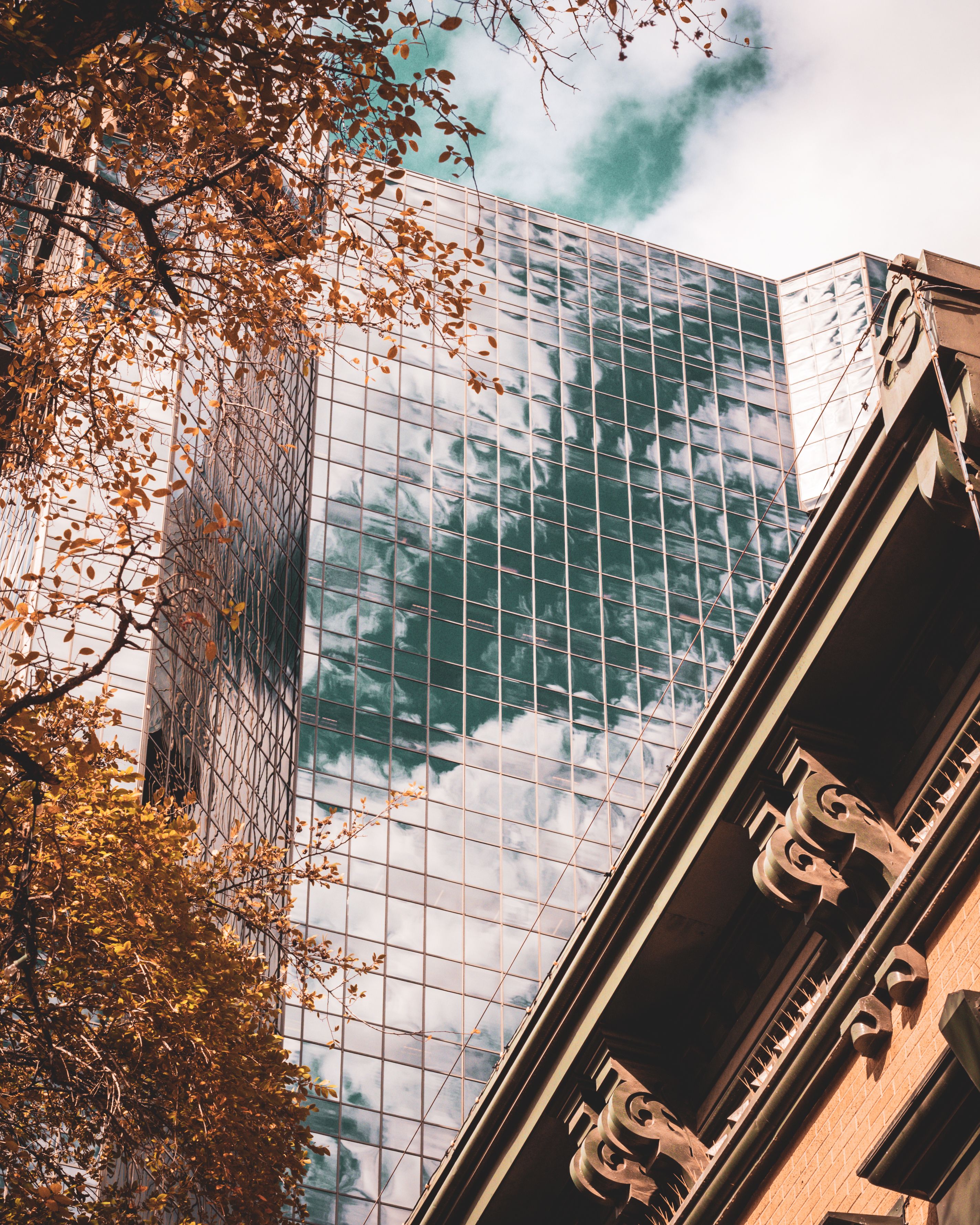 Financial Skyscraper in City · Free Stock Photo