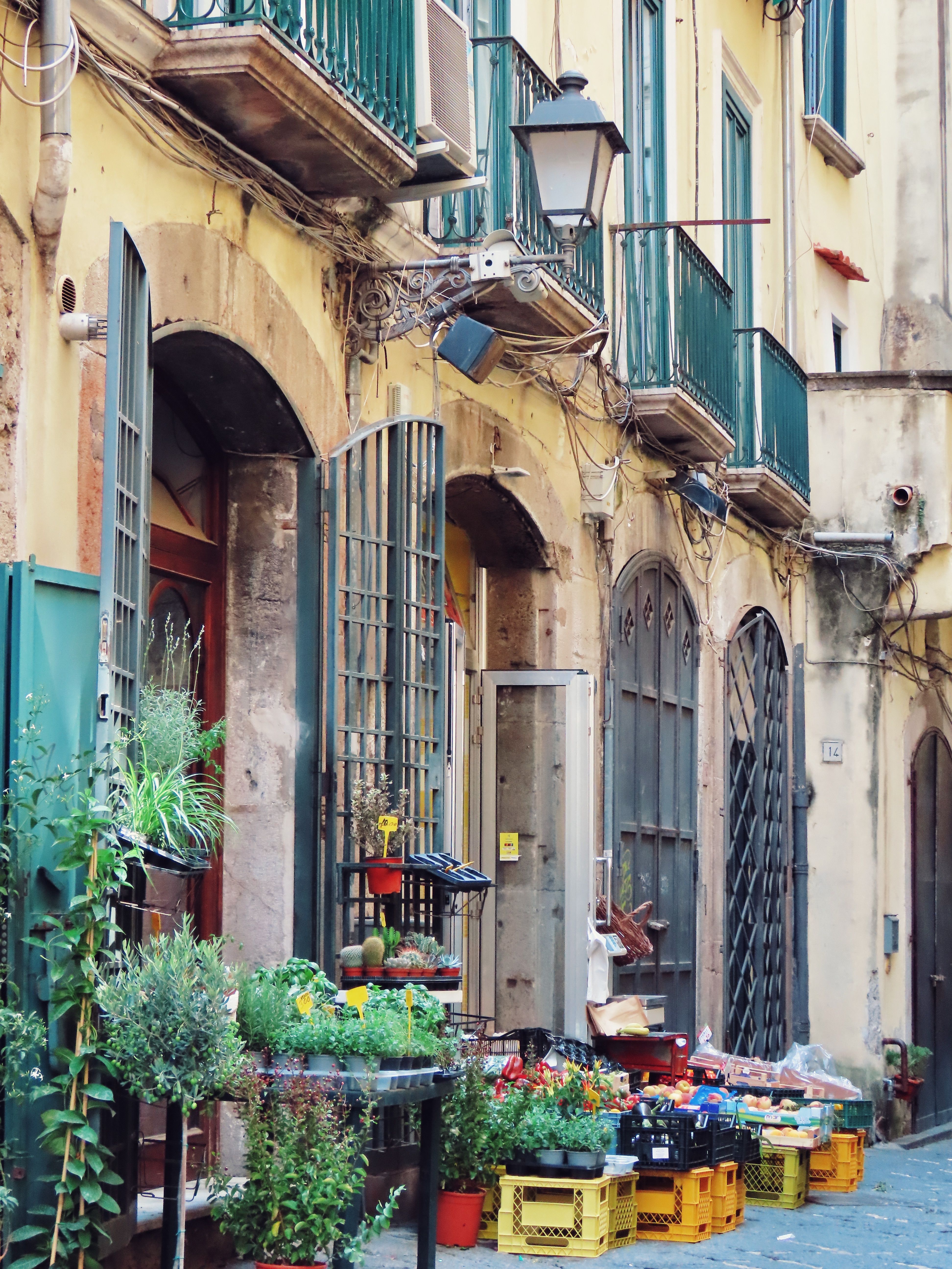 Facade of Typical Italian Apartment Buildings with Plants Standing ...