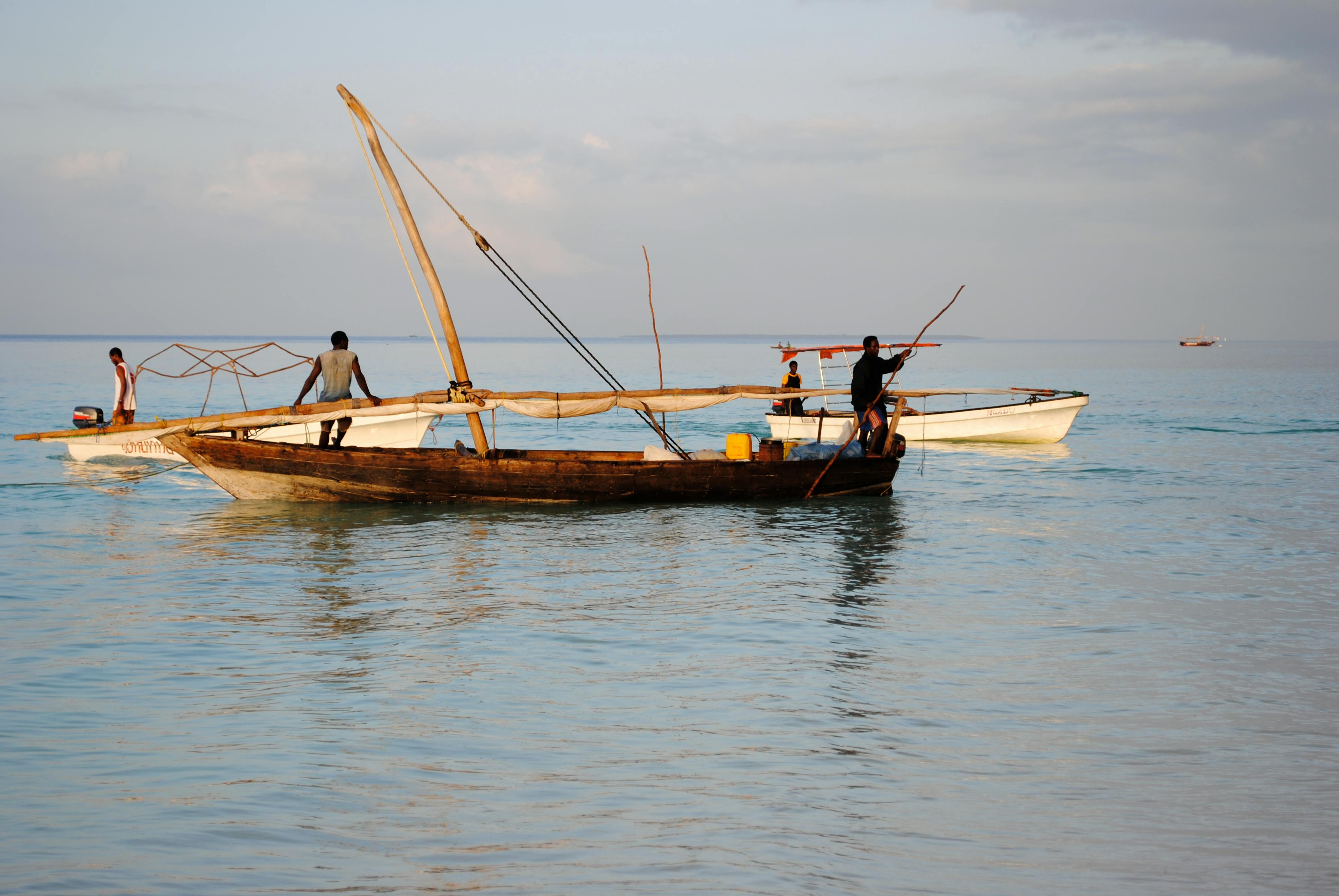 A Man Rowing A Small Boat With a Sail · Free Stock Photo