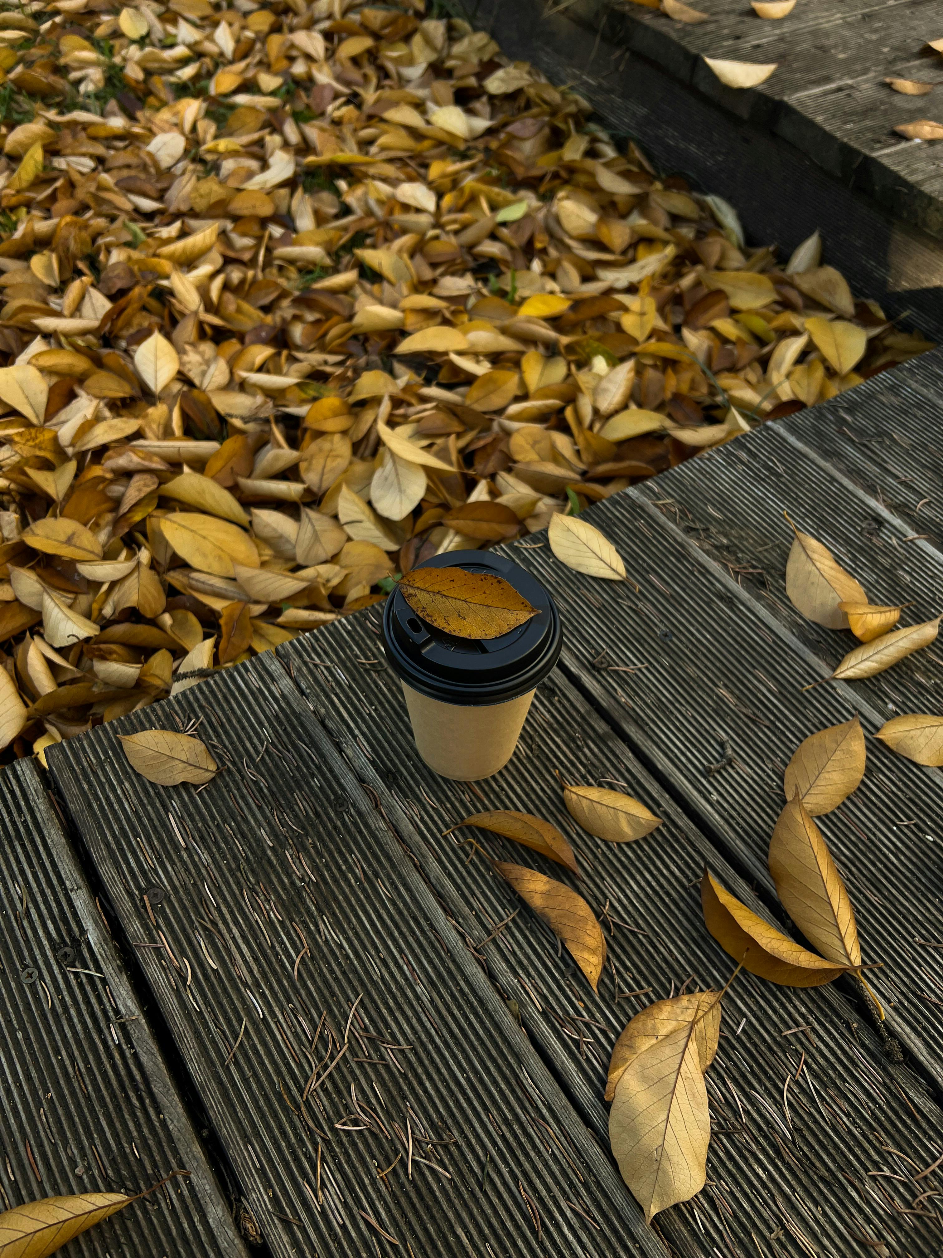 Golden Leaves on Wooden Pier · Free Stock Photo