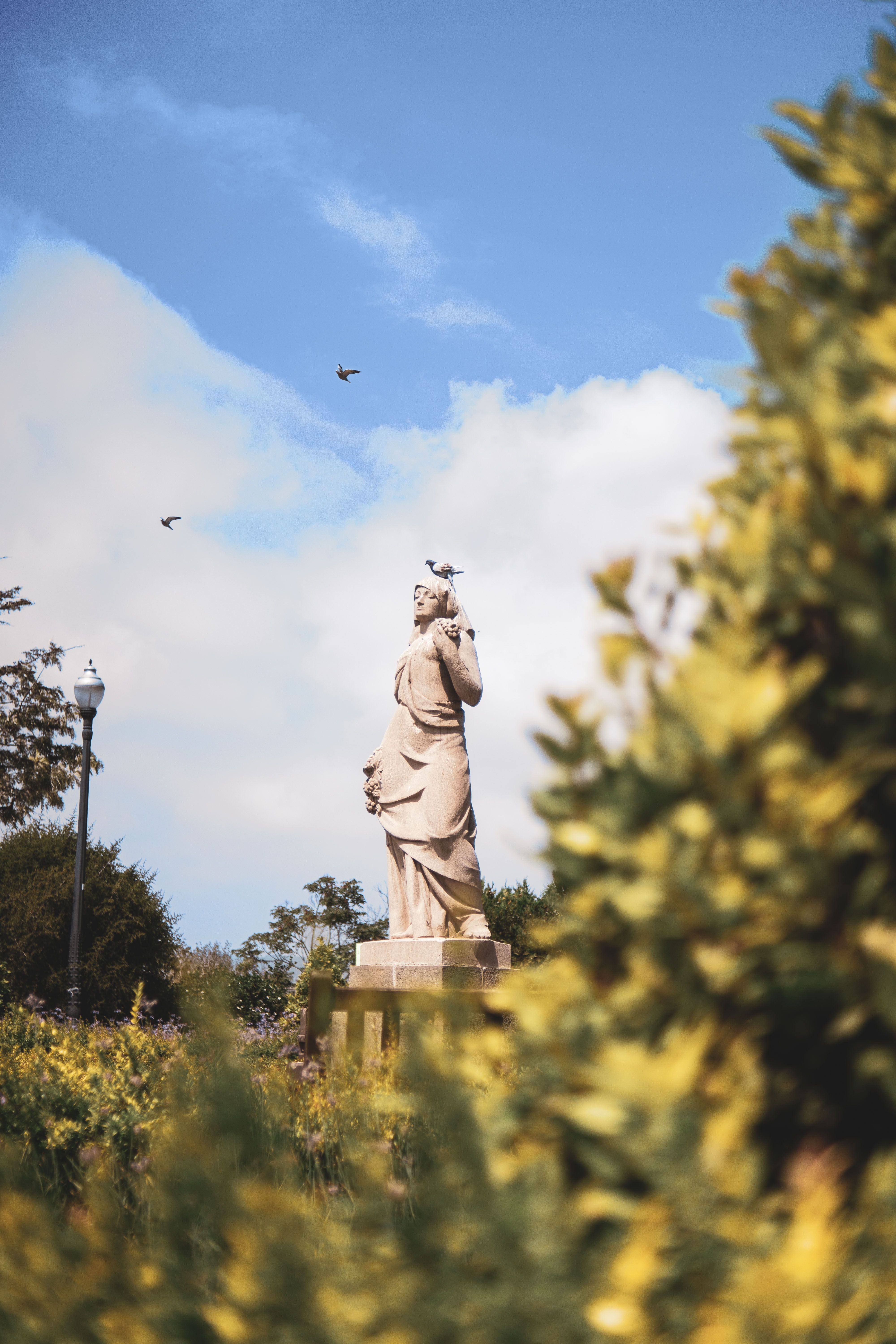 White Concrete Statues in a Garden · Free Stock Photo