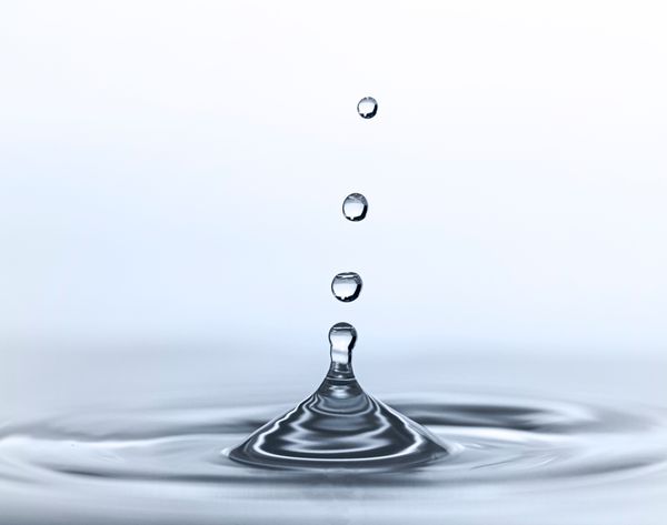 Water Drop No Background Photos, Download The BEST Free Water Drop No ...