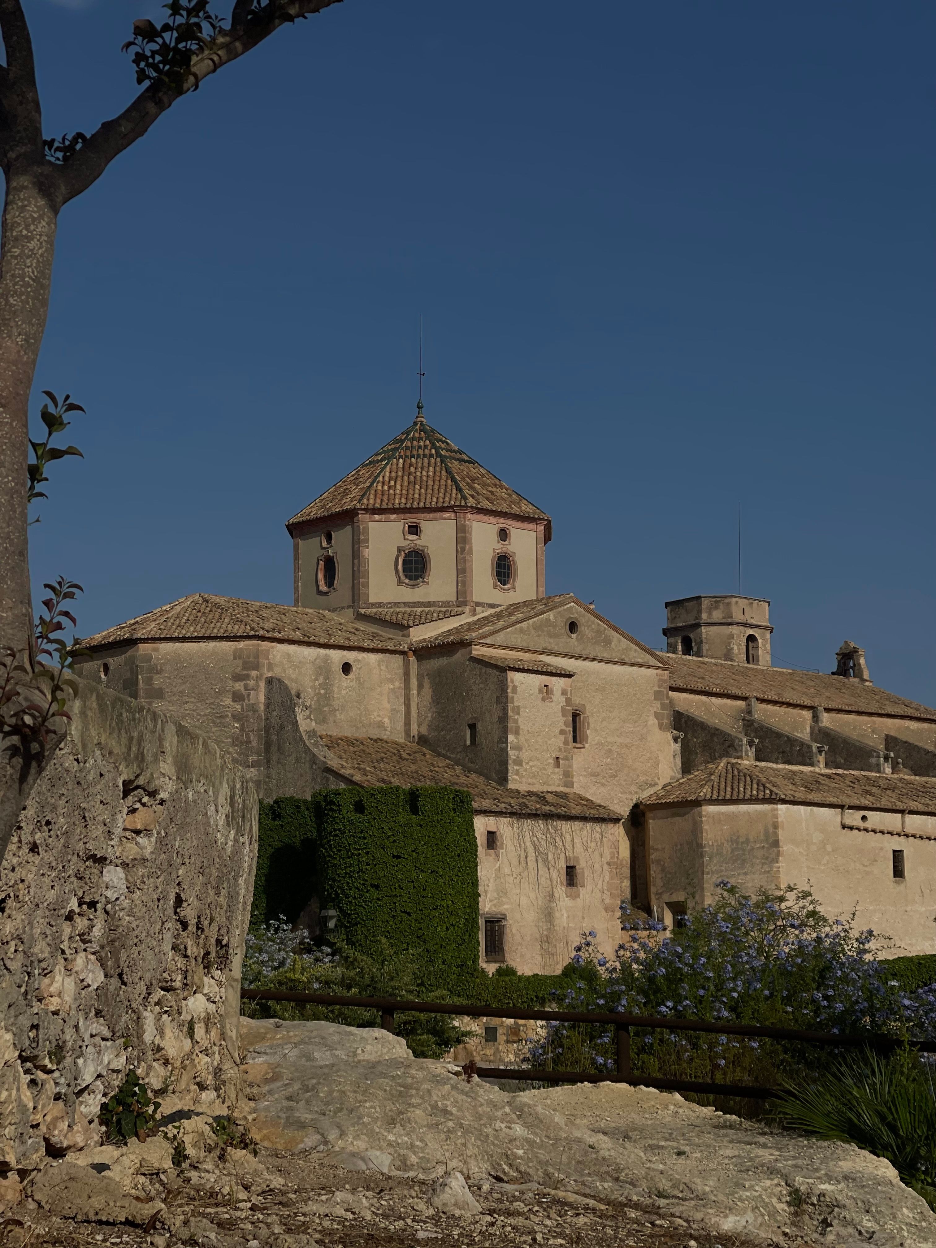 Foto de stock gratuita sobre al aire libre, antiguo, arboles ...