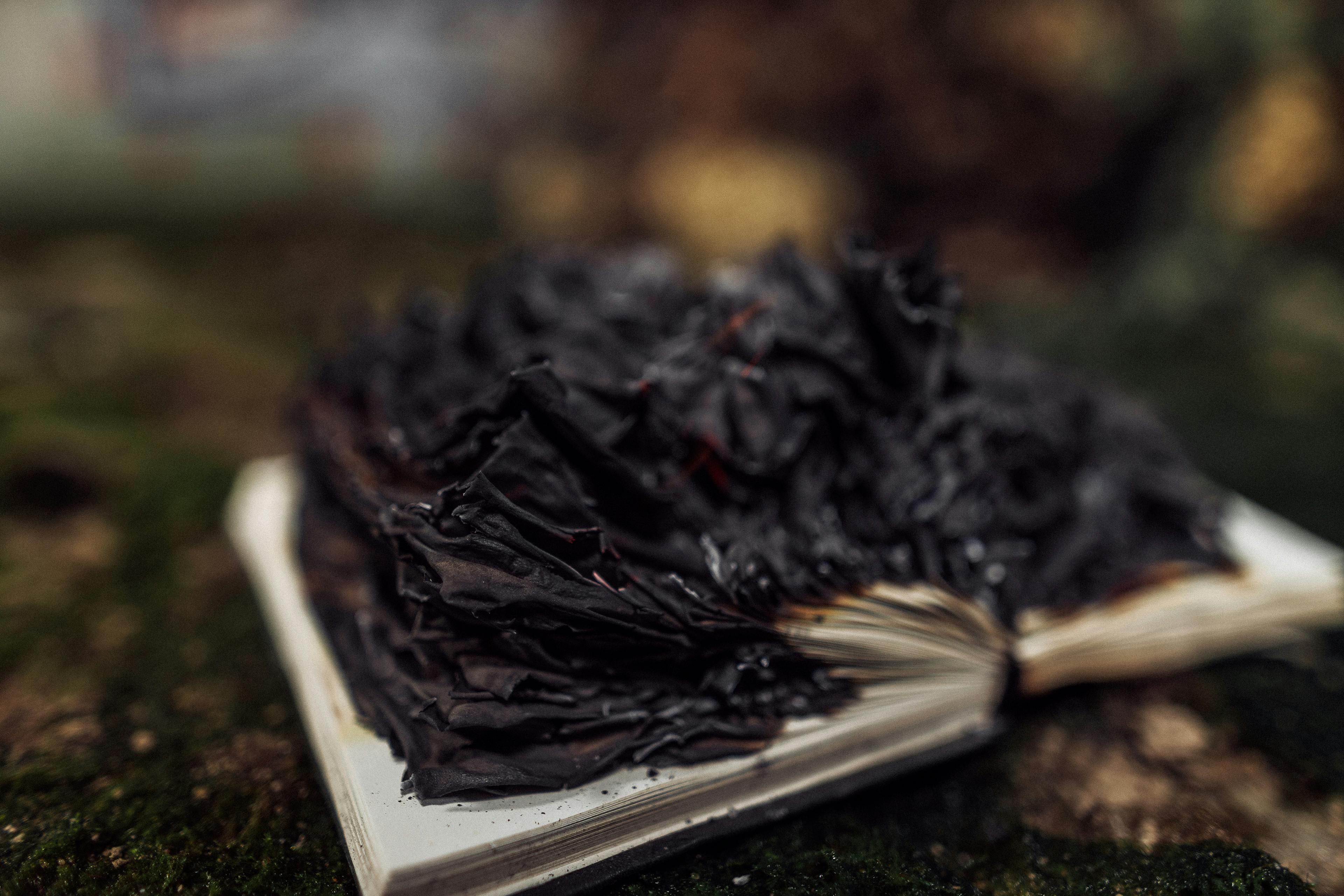 Burned Book in a Forest · Free Stock Photo