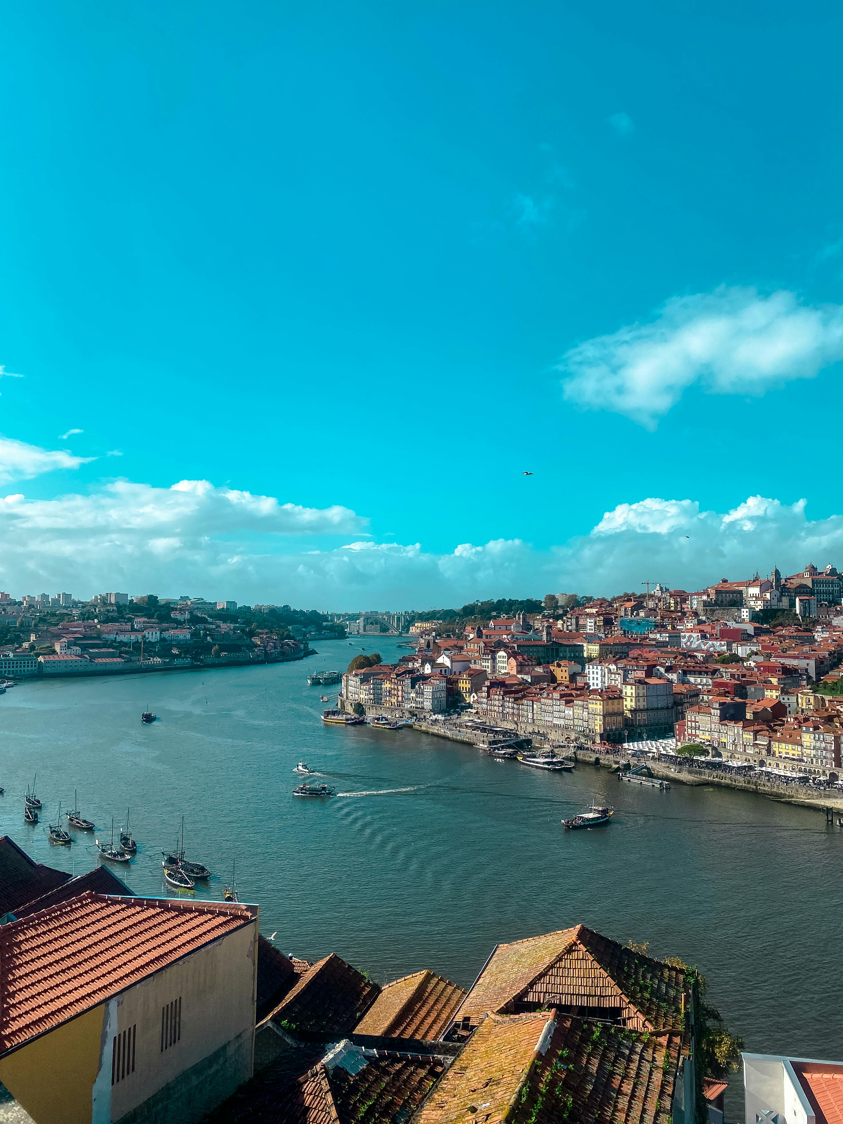 Traditional Buildings in Harbor in Porto · Free Stock Photo