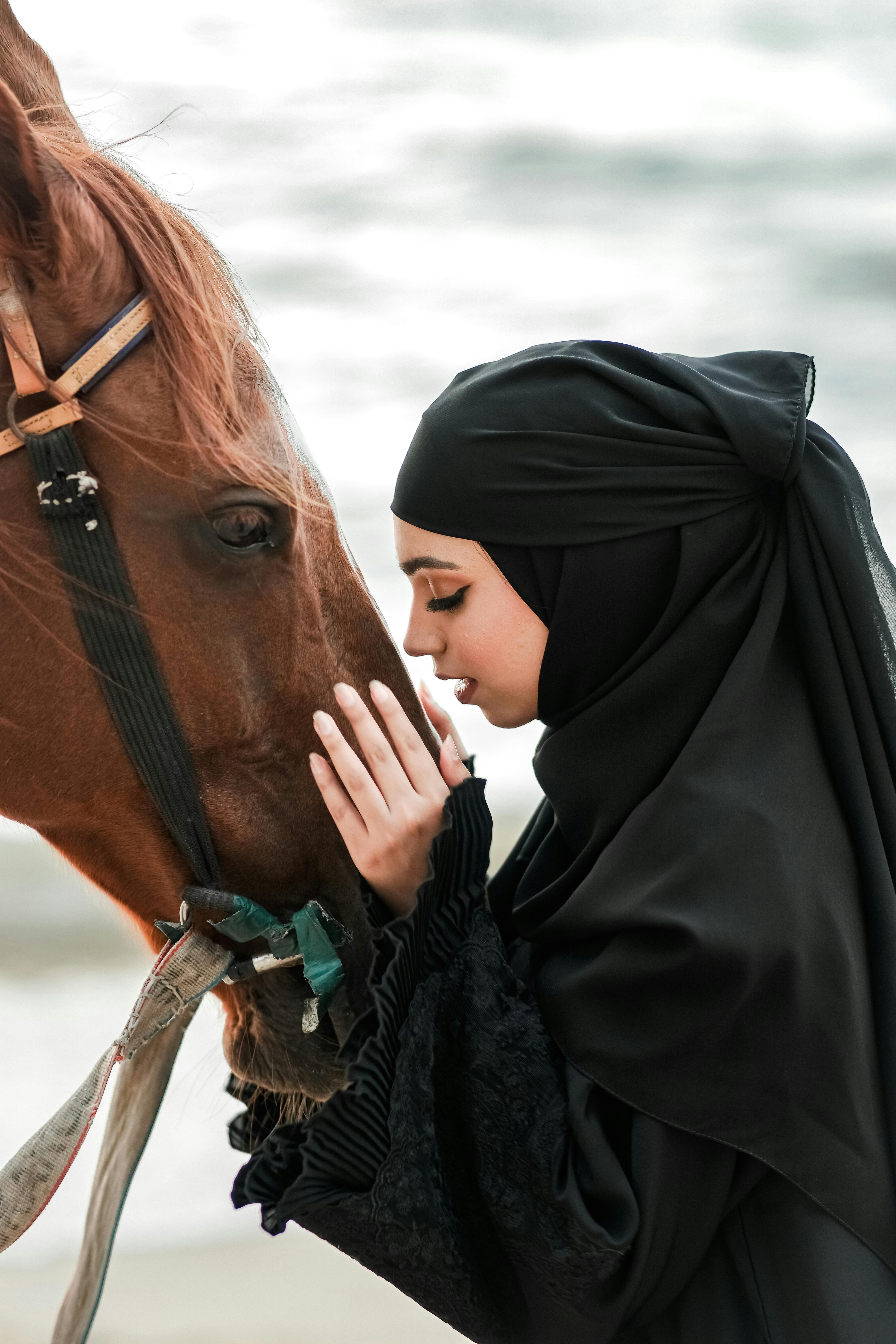 Horse Muslim Photos, Download The BEST Free Horse Muslim Stock Photos ...