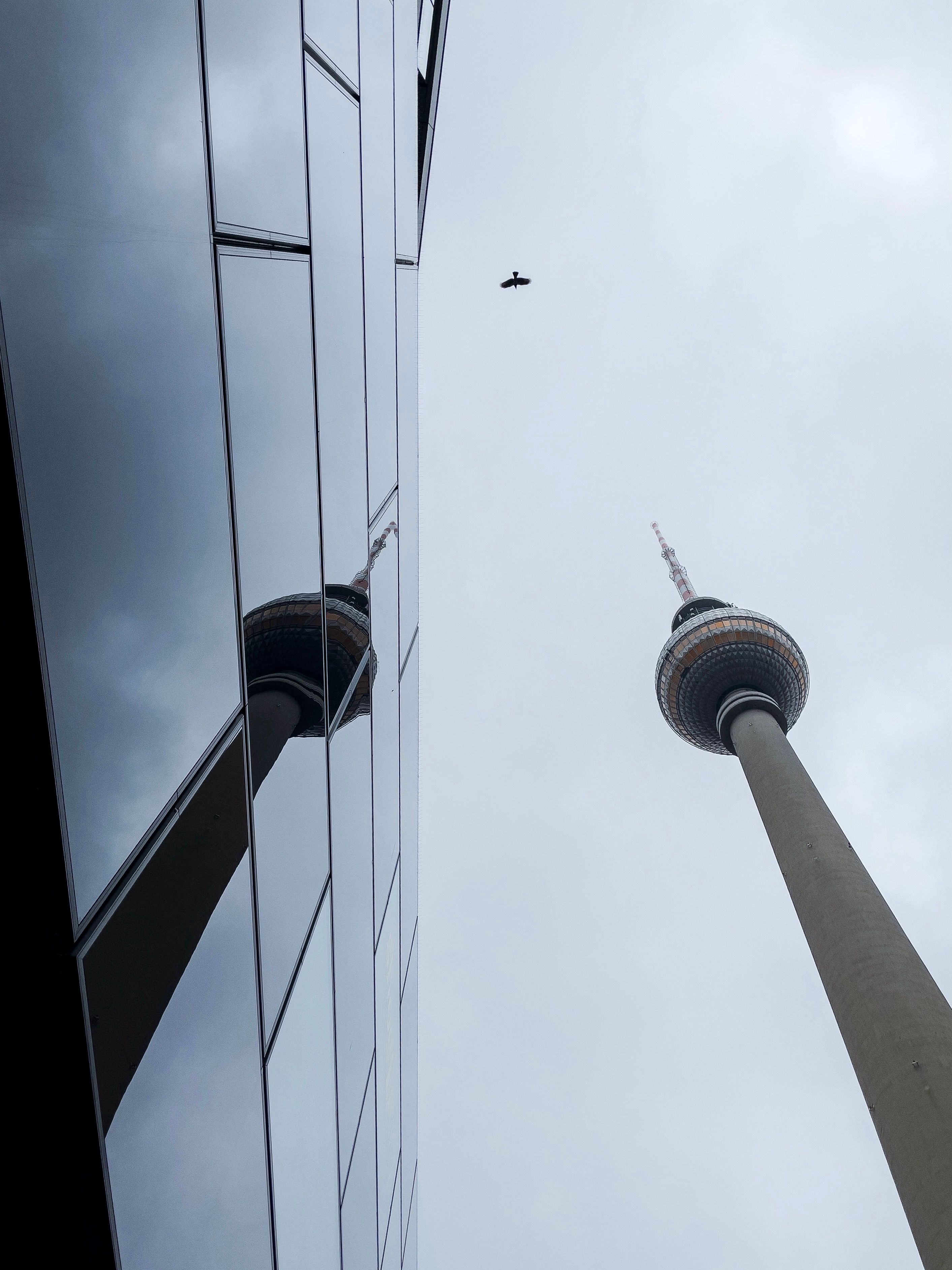 Broadcast Tower and Reflection in Building Windows · Free Stock Photo