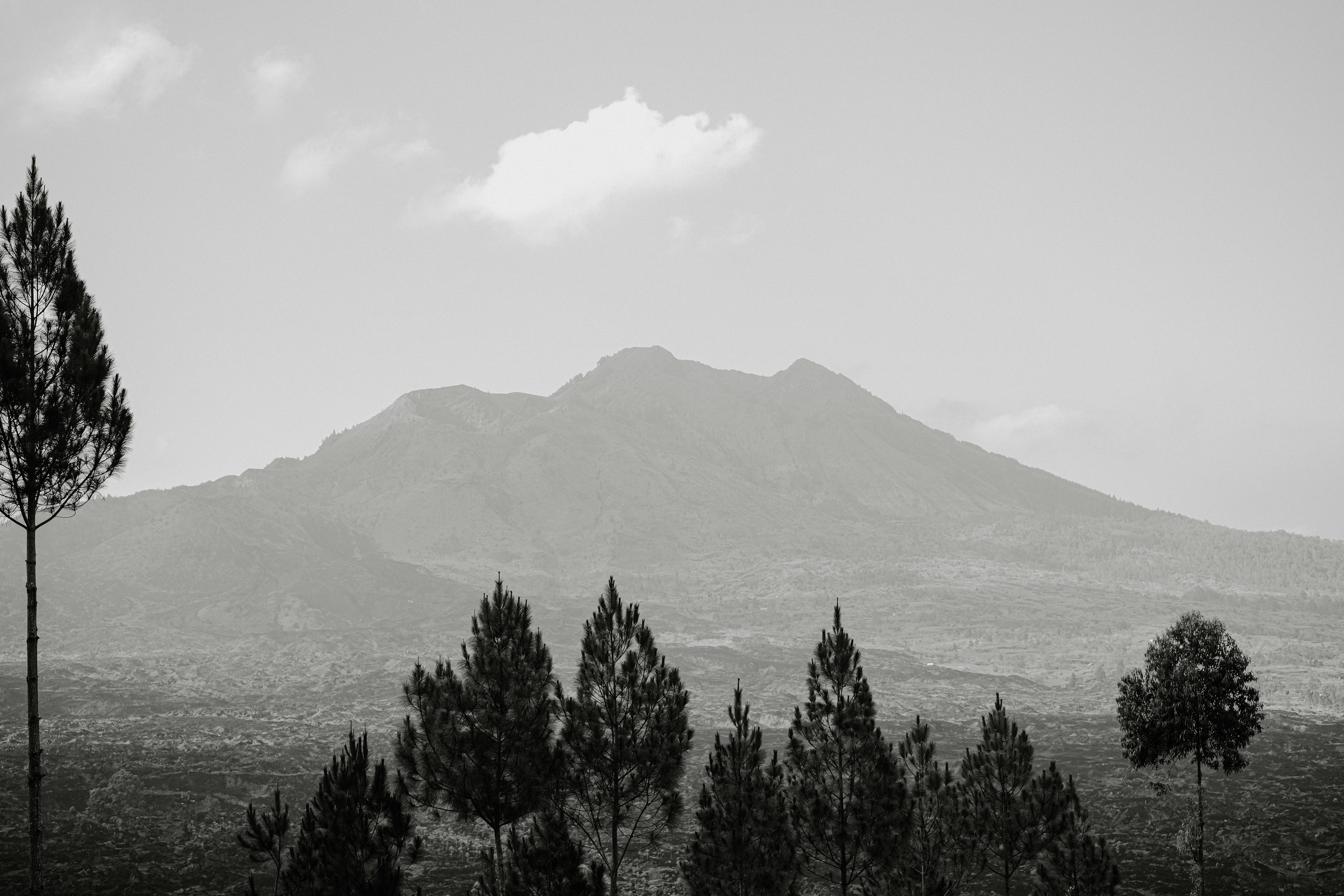 Overcast over Hill and Trees on Plains · Free Stock Photo