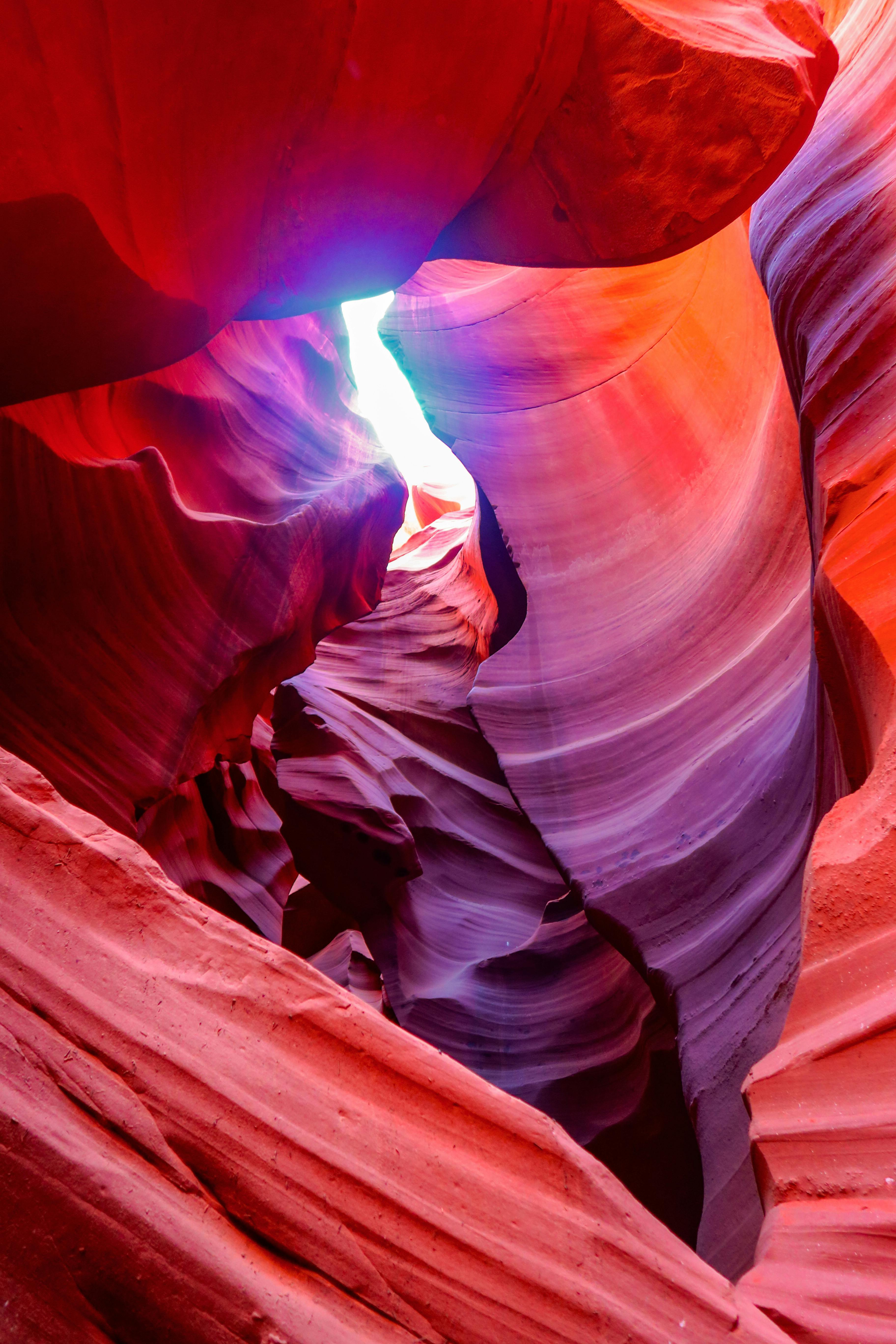 Austin Sullivan - 사진