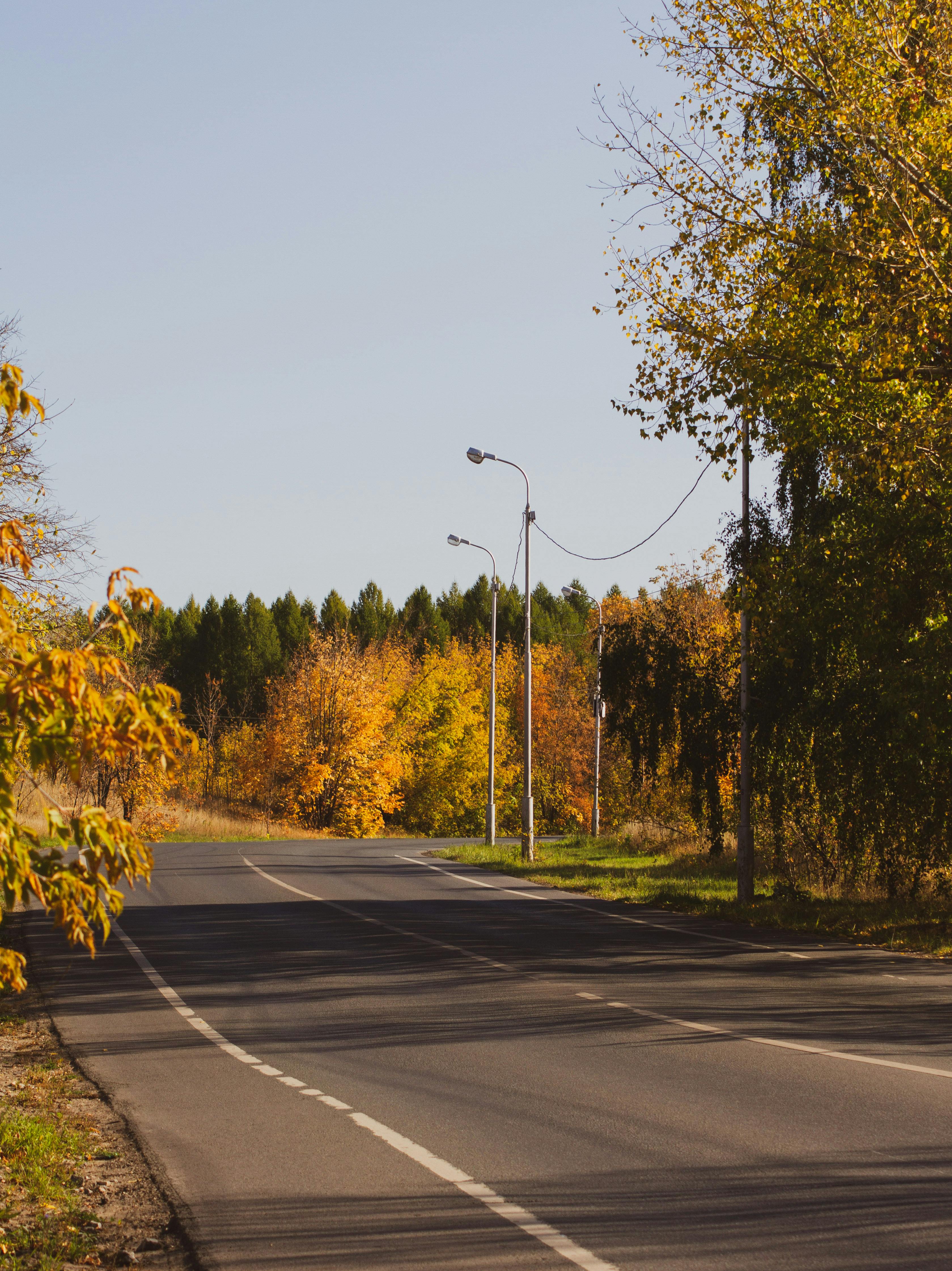 Road Template Photos, Download The BEST Free Road Template Stock Photos ...