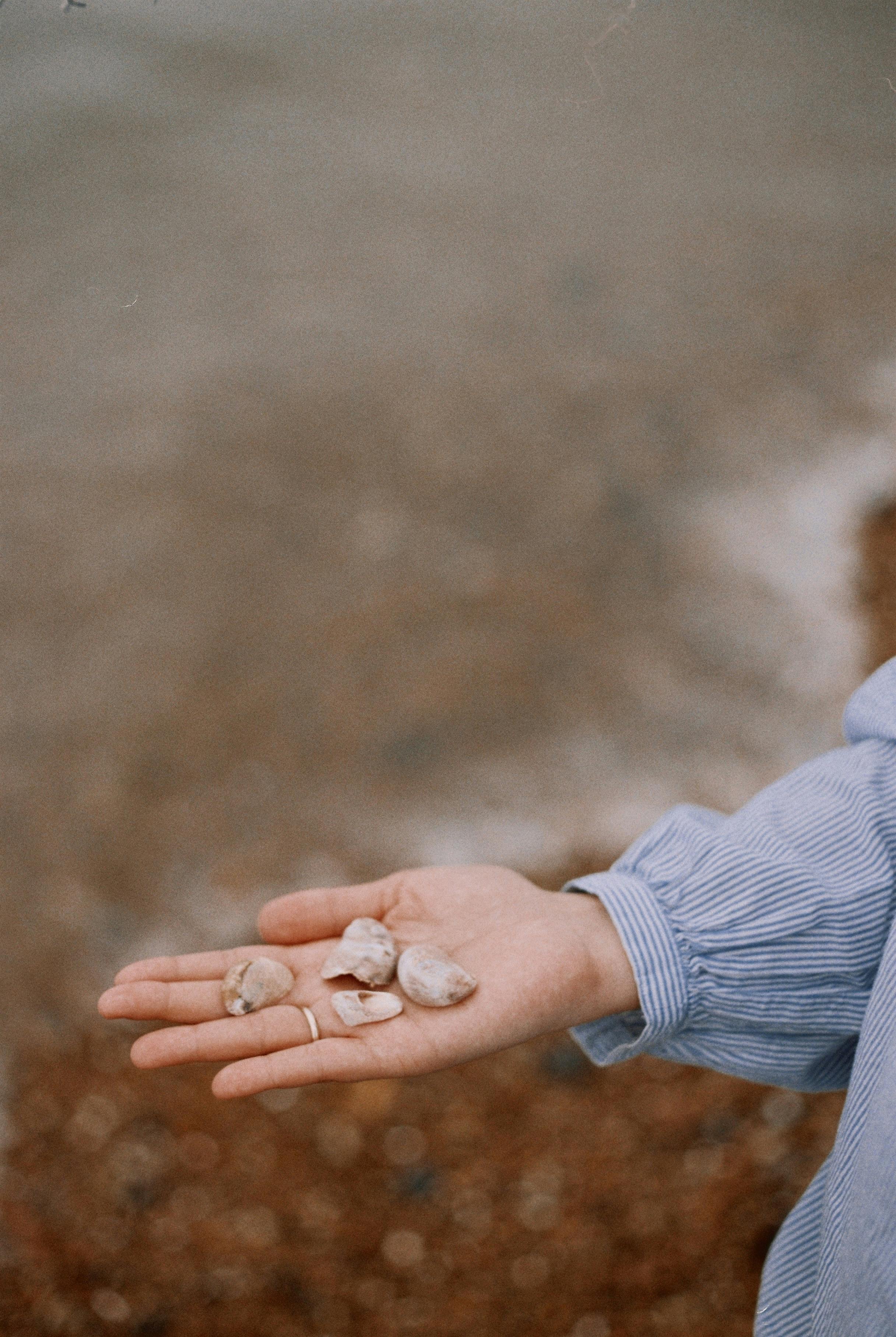 Woman Holding Rocks on a Beach · Free Stock Photo