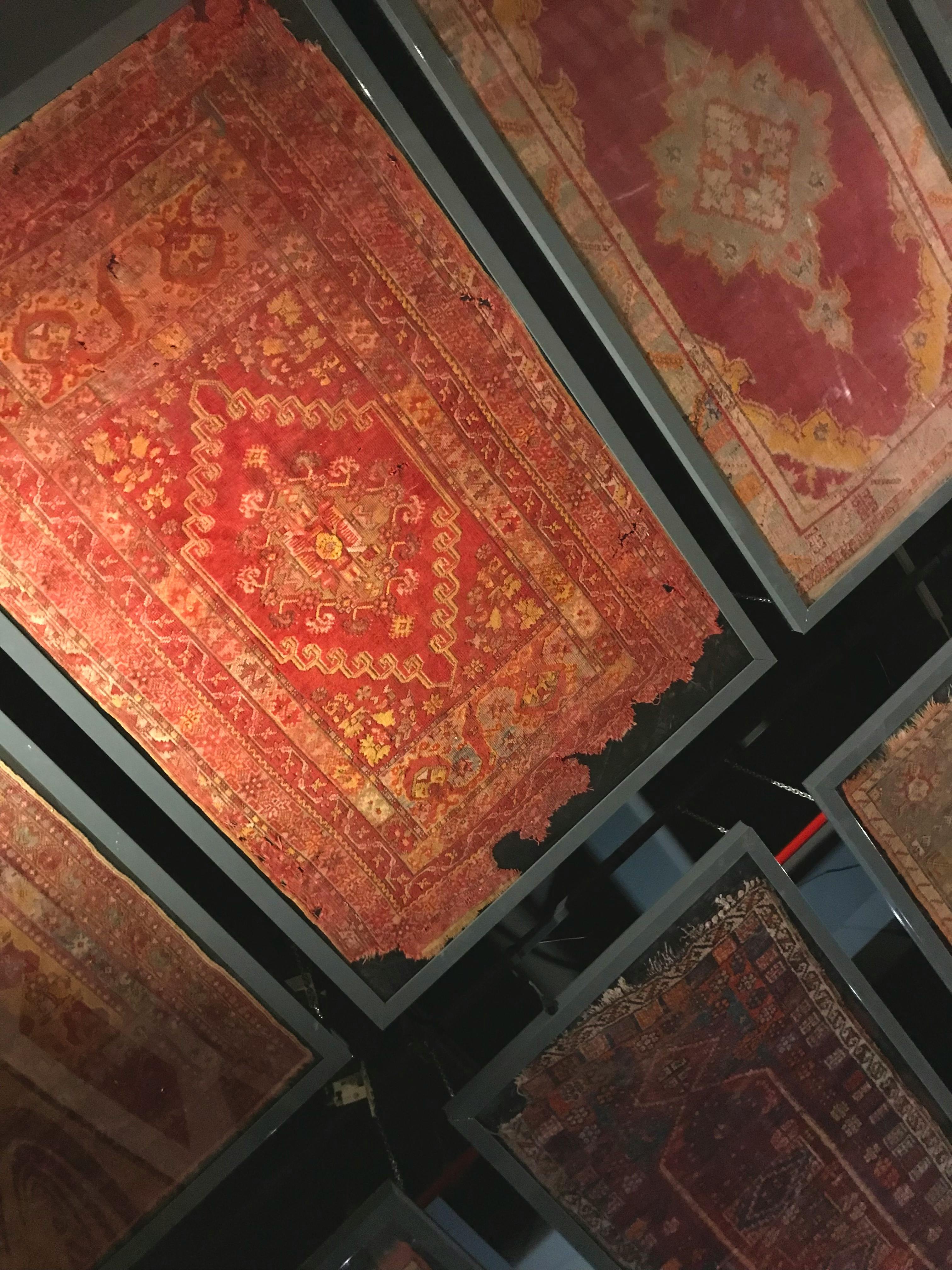 Esra Dogan - Fotoğrafçılık