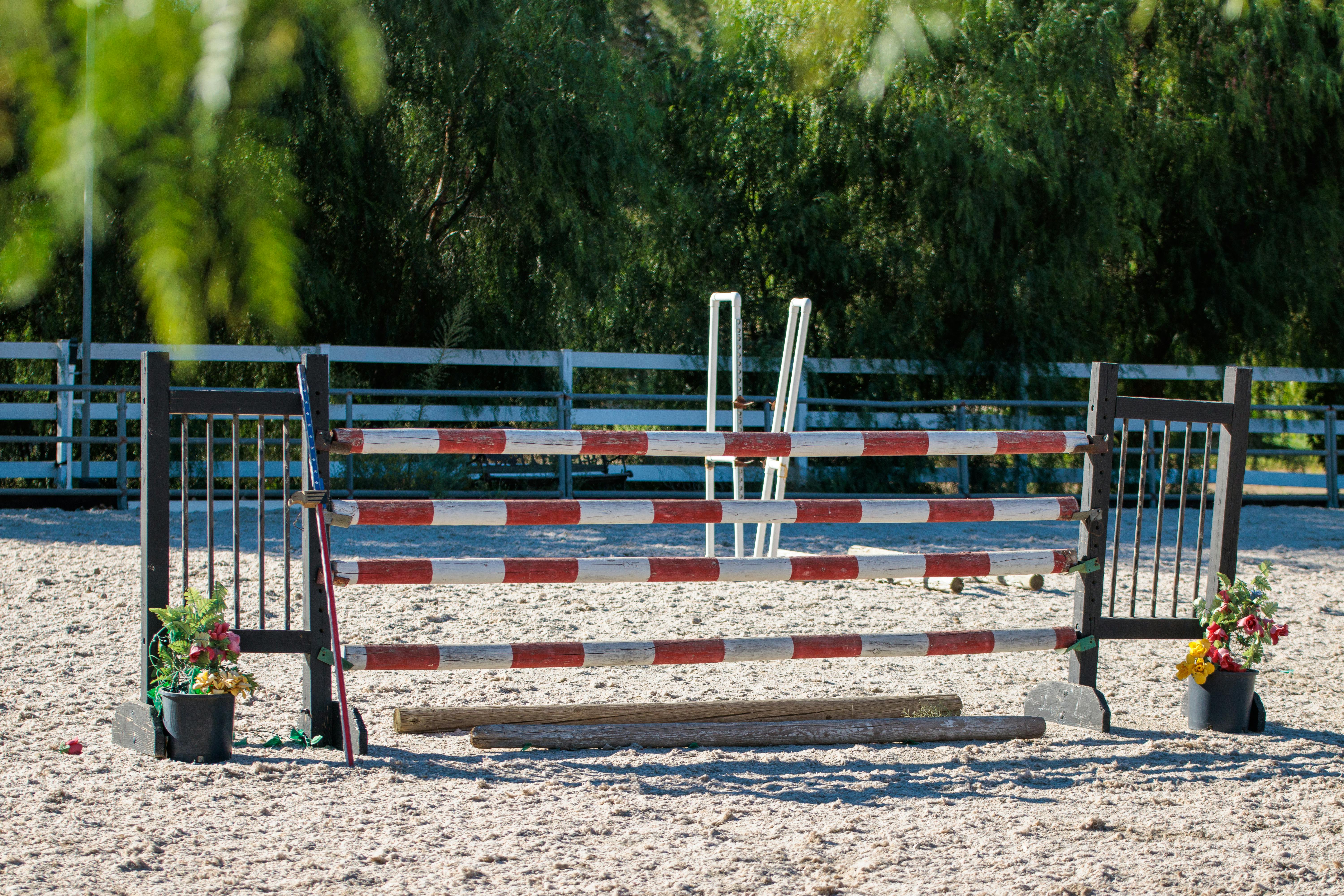 Horse Jumping Obstacle on Sand · Free Stock Photo