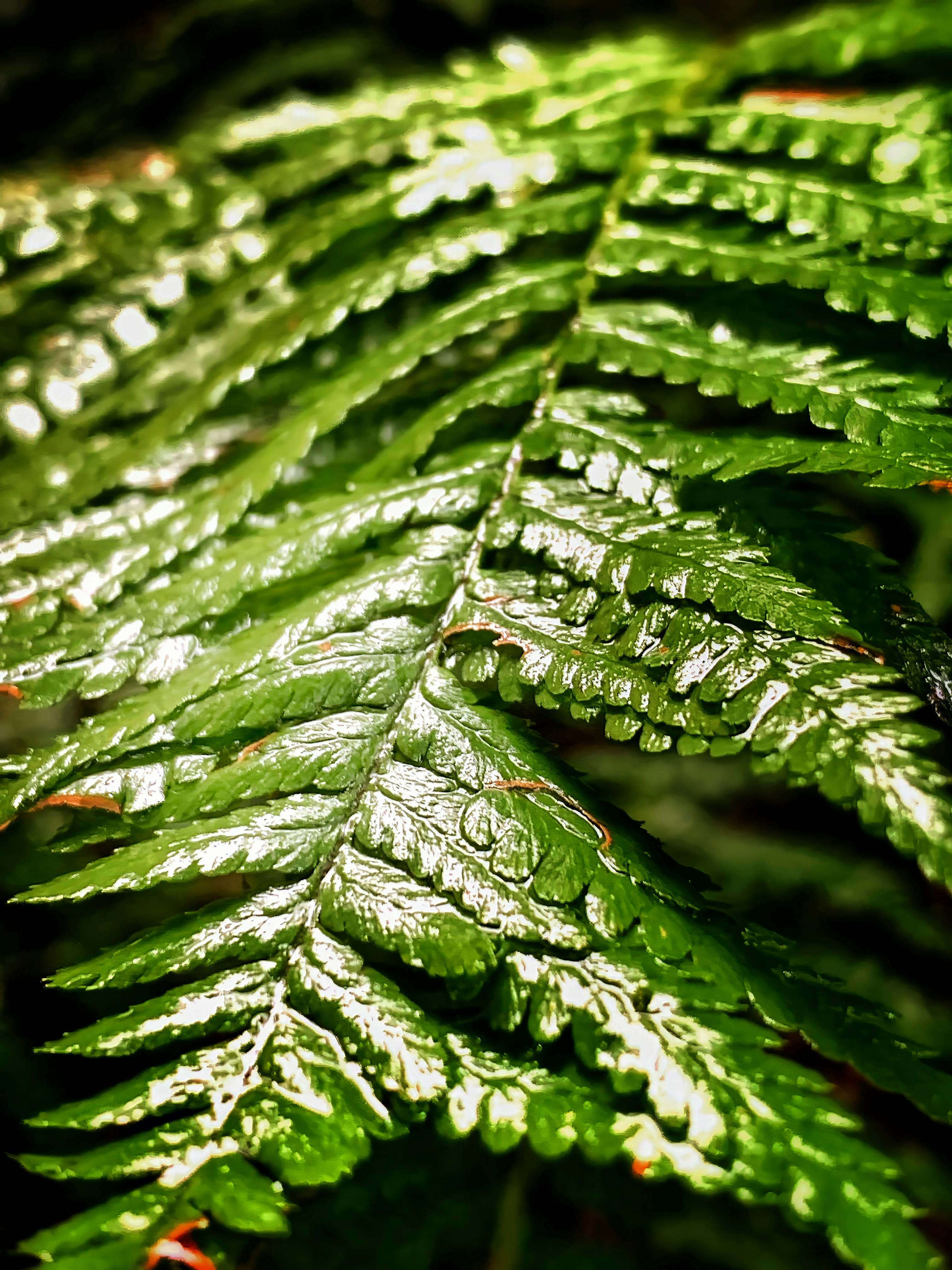 CESAR CASANOVA - Photography