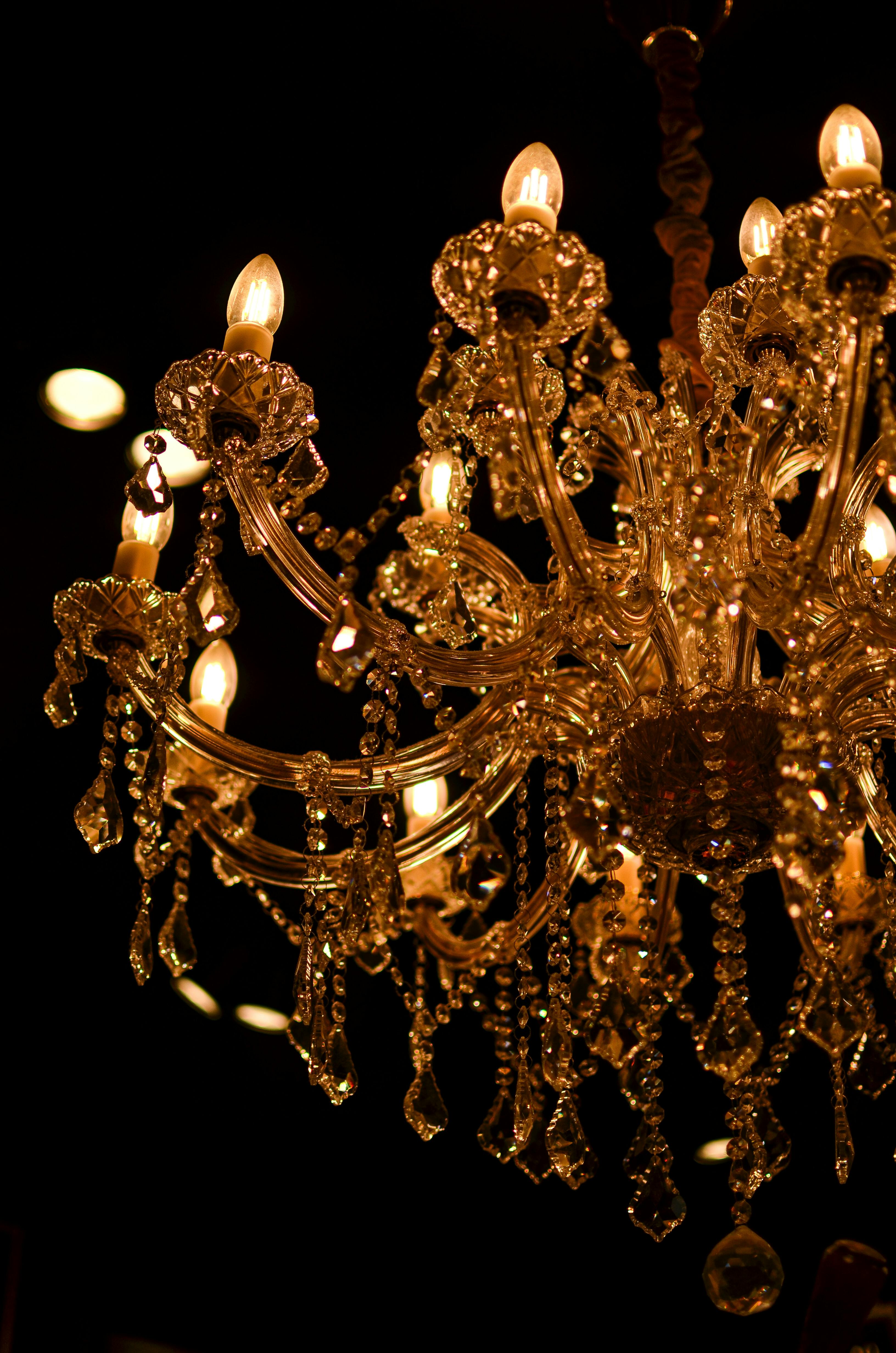 Sofia Mishchenko - Photographie