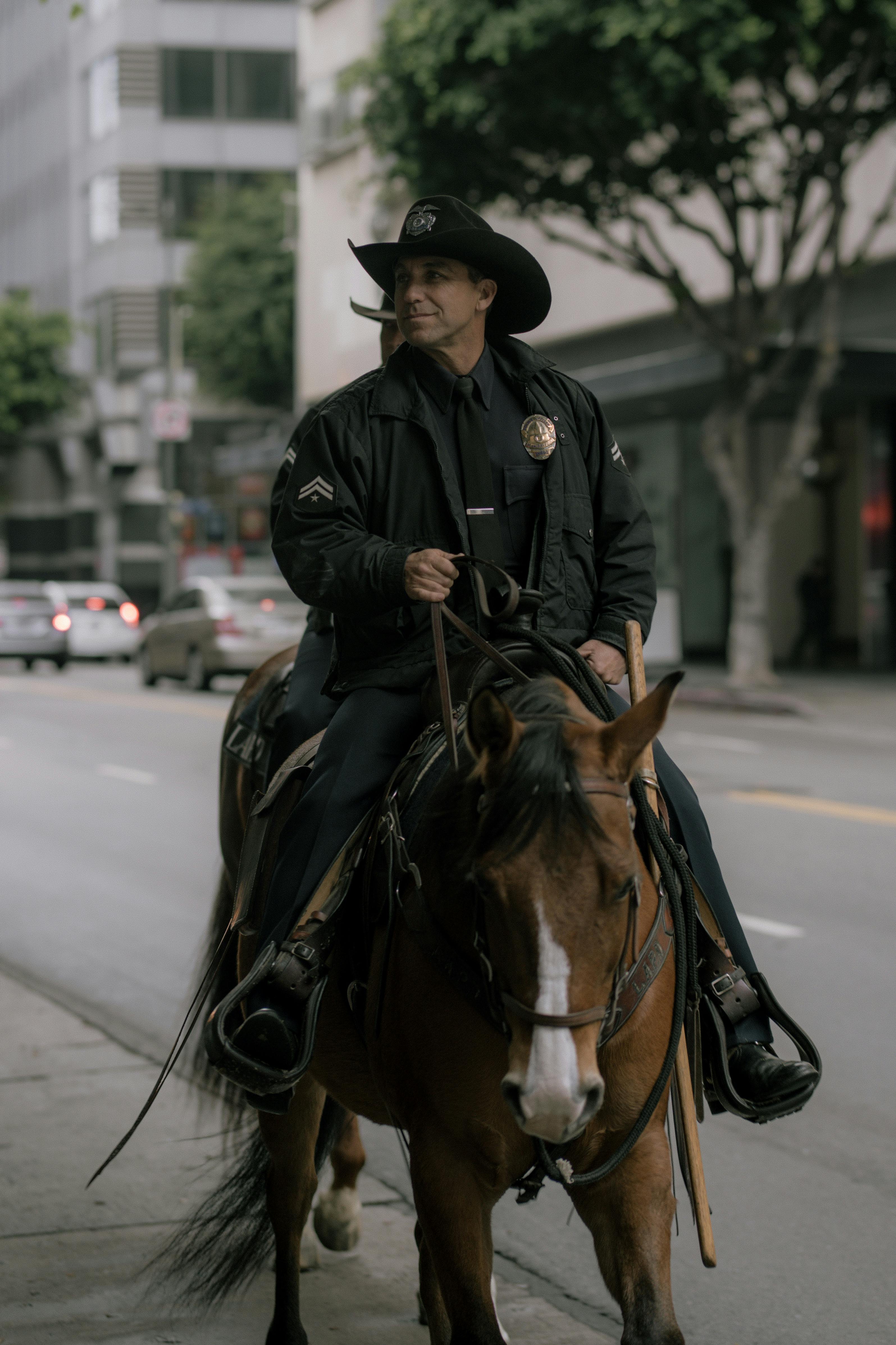 Police Officer Riding a Horse · Free Stock Photo