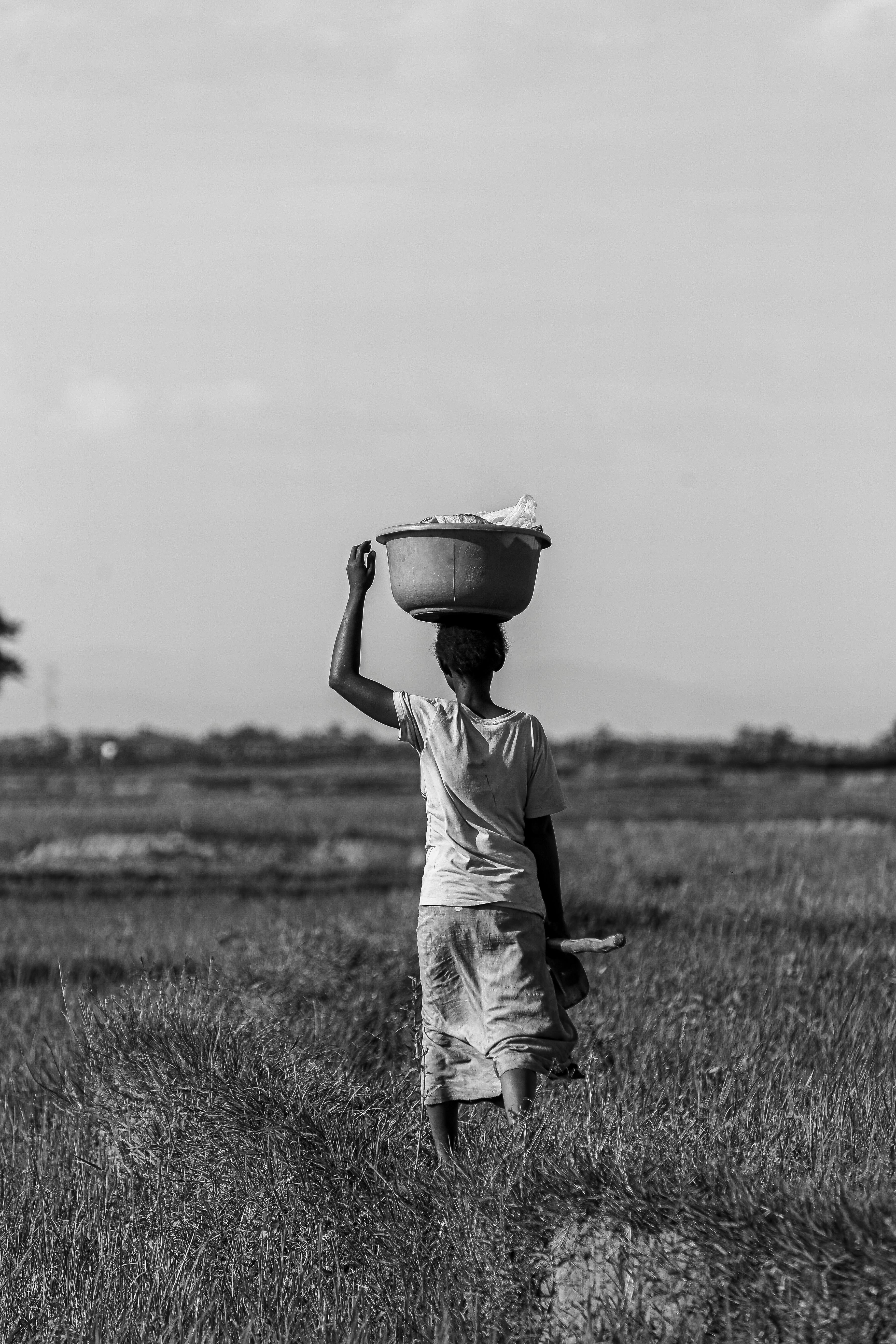 Woman Working on a Plantation in Black and White · Free Stock Photo