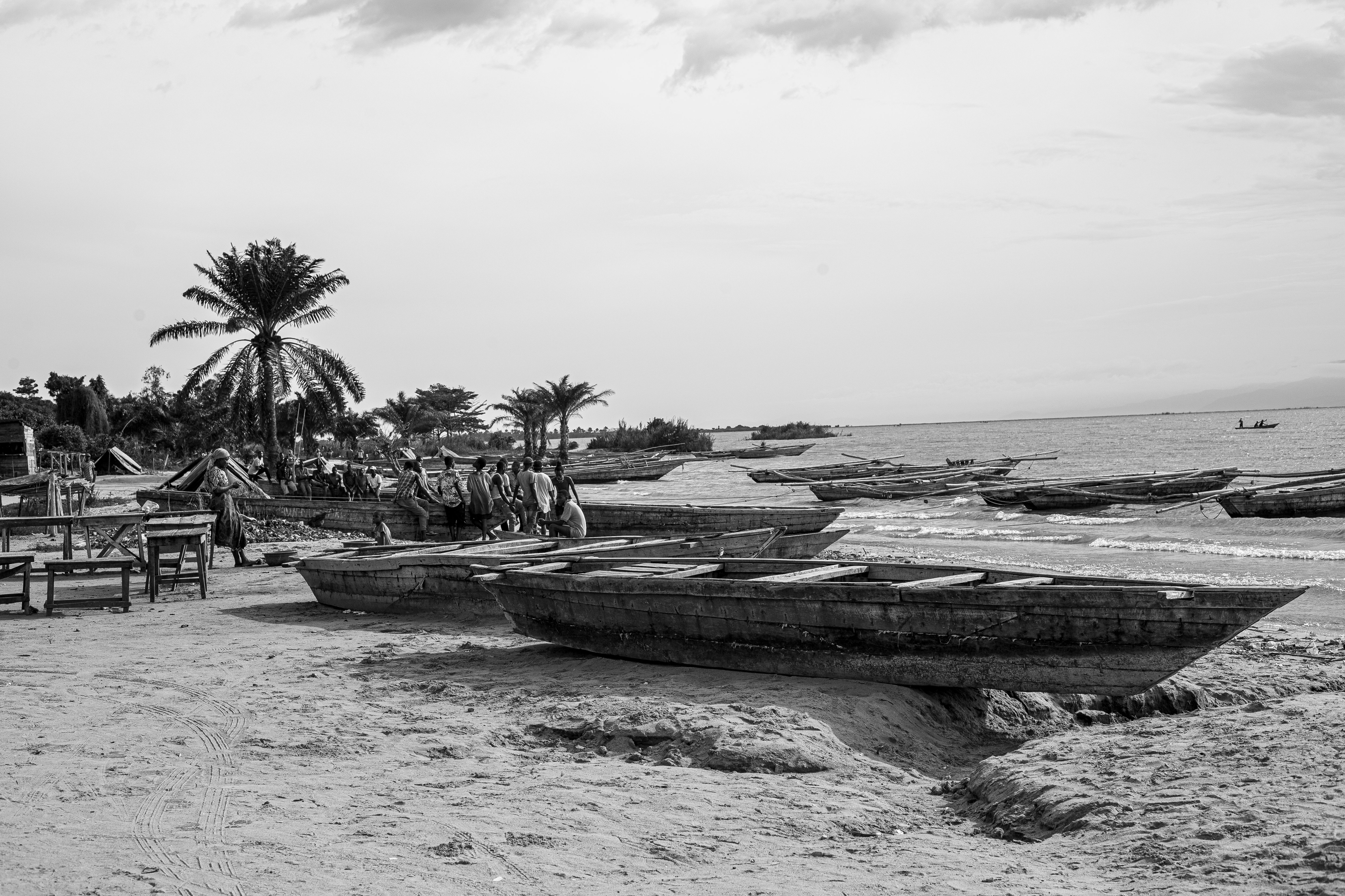 Boats on a Tropical Beach in Black and White · Free Stock Photo