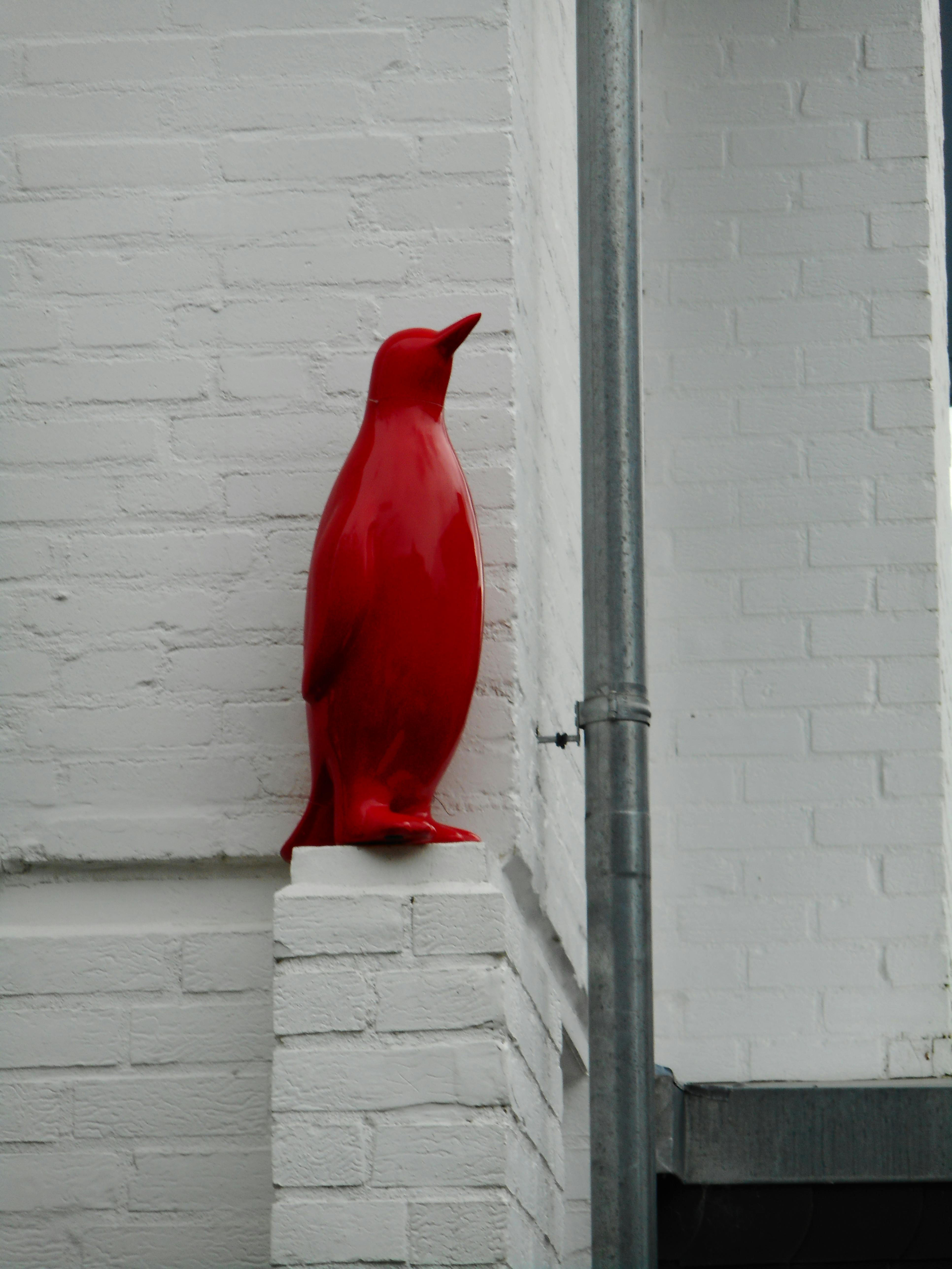 Red Penguin Figurine on a Street · Free Stock Photo