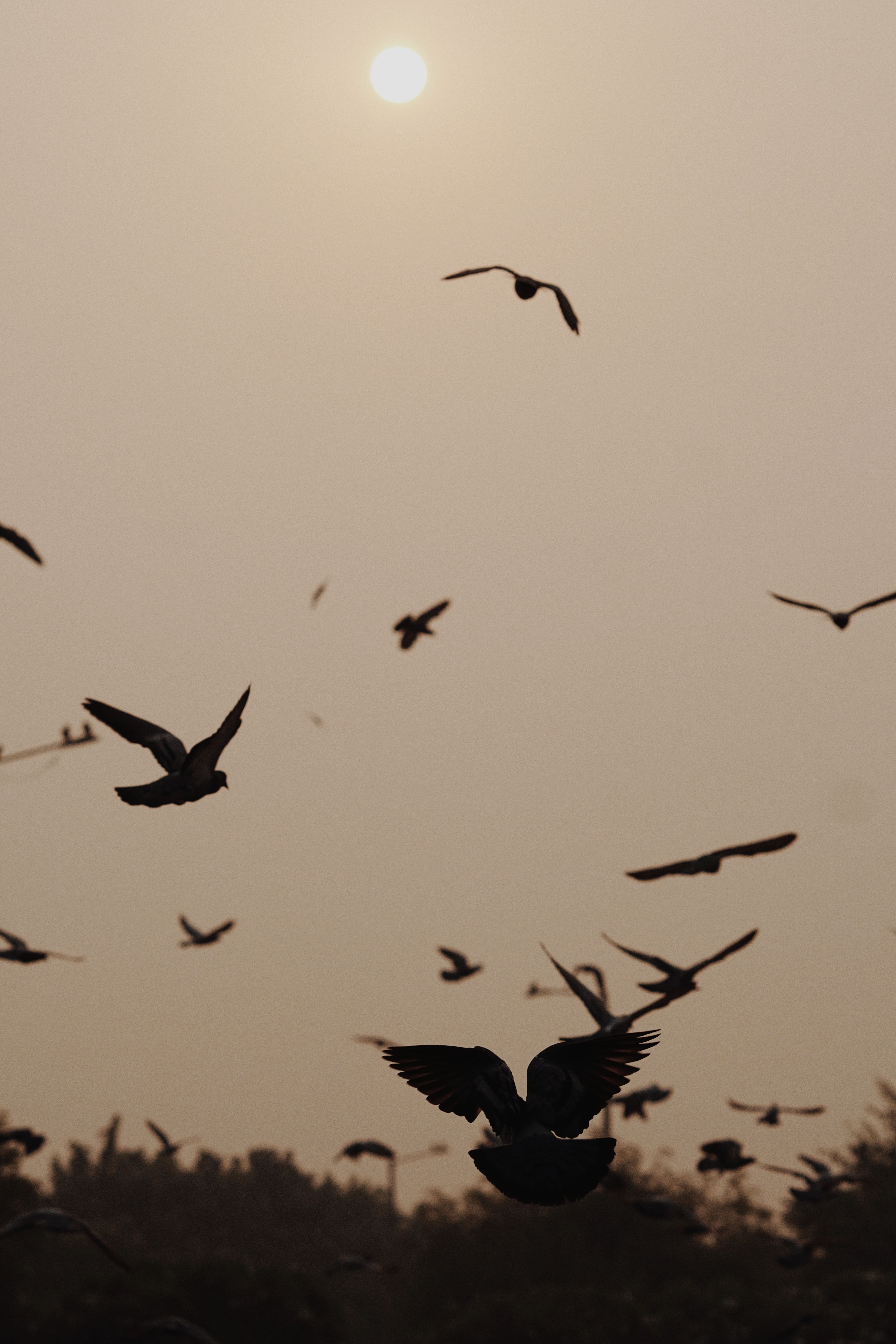 Anas Jawed - Photography