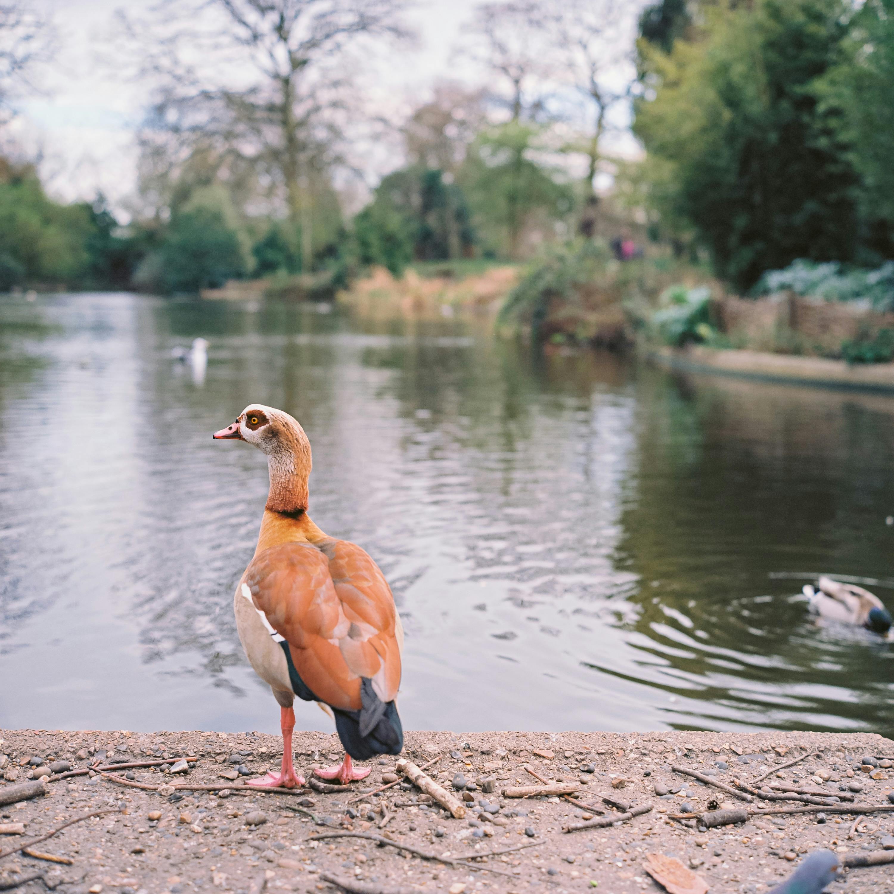 Watercourse Photos, Download The BEST Free Watercourse Stock Photos ...