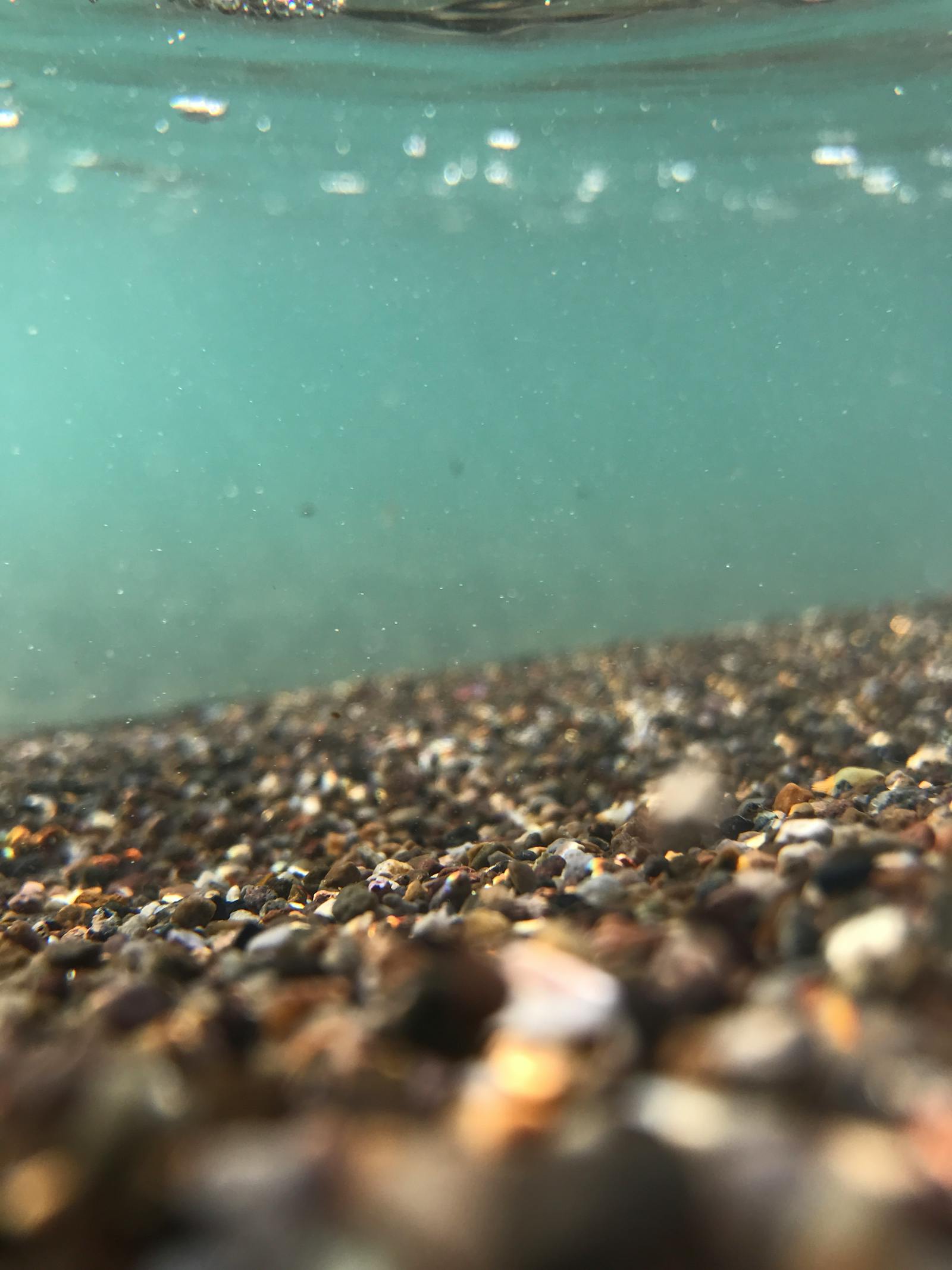 Underwater Ground Photos, Download The BEST Free Underwater Ground ...