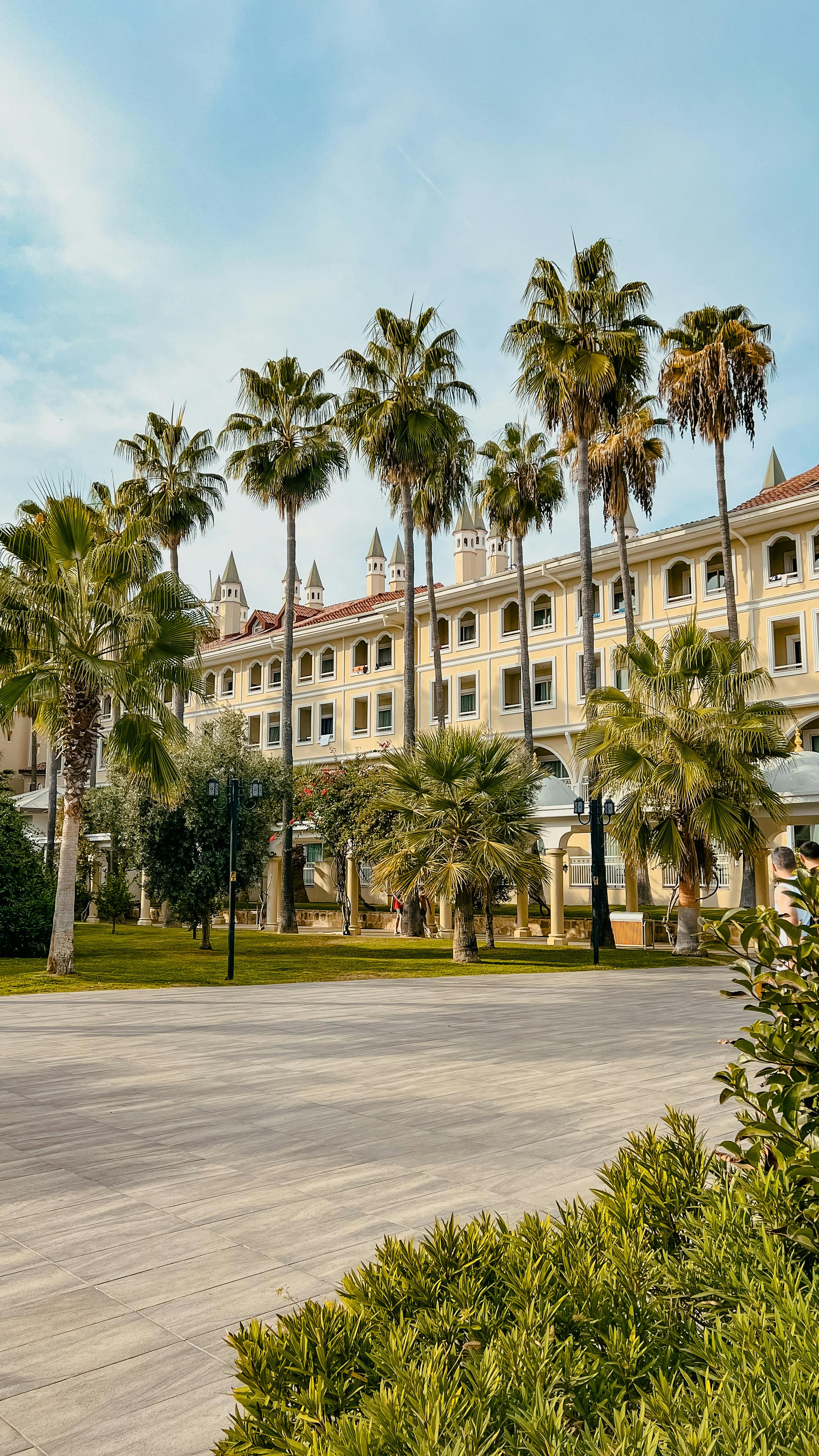 ISSA SAID - Fotografía