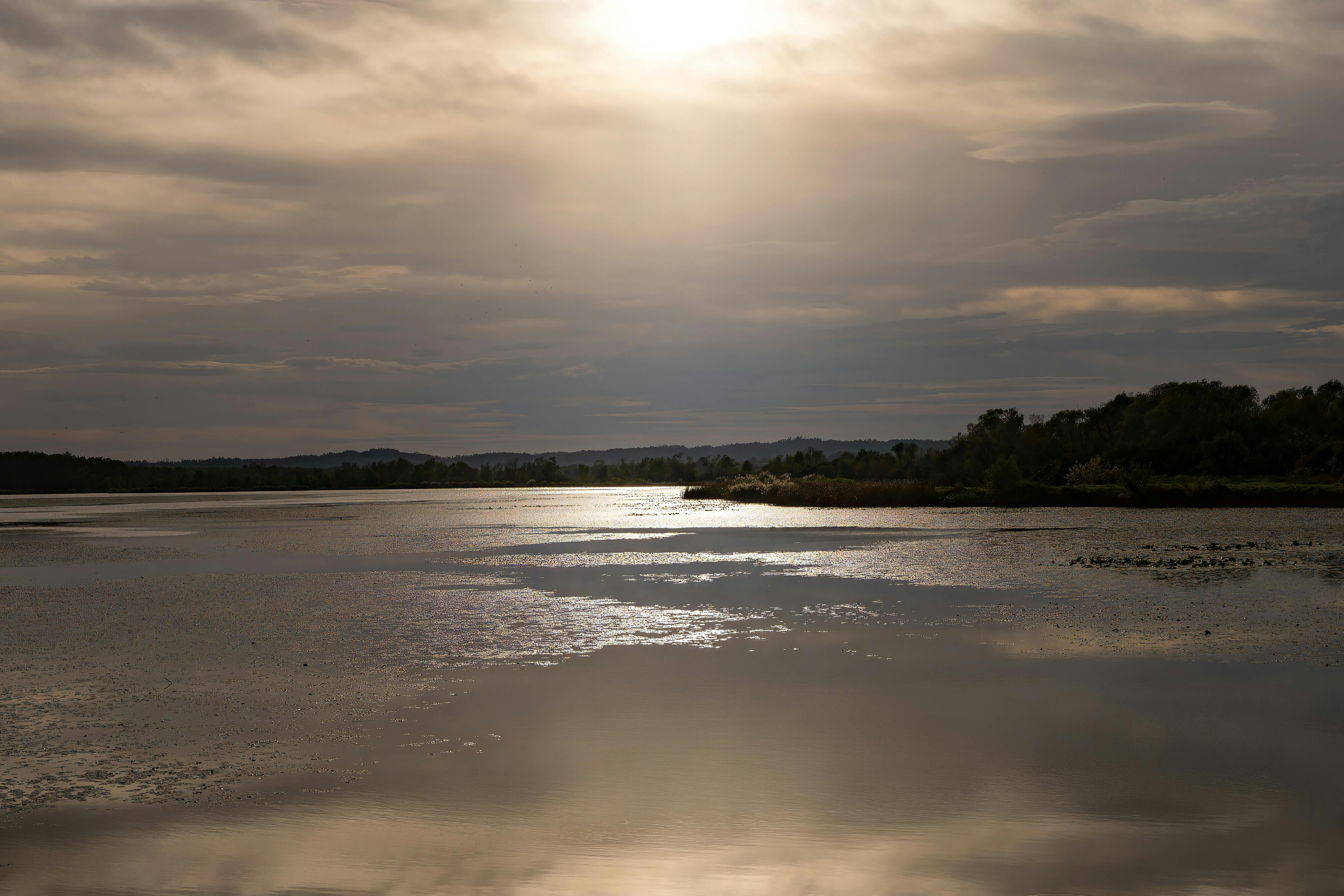 Water Surface of a Placid Lake in the Afternoon Sun · Free Stock Photo