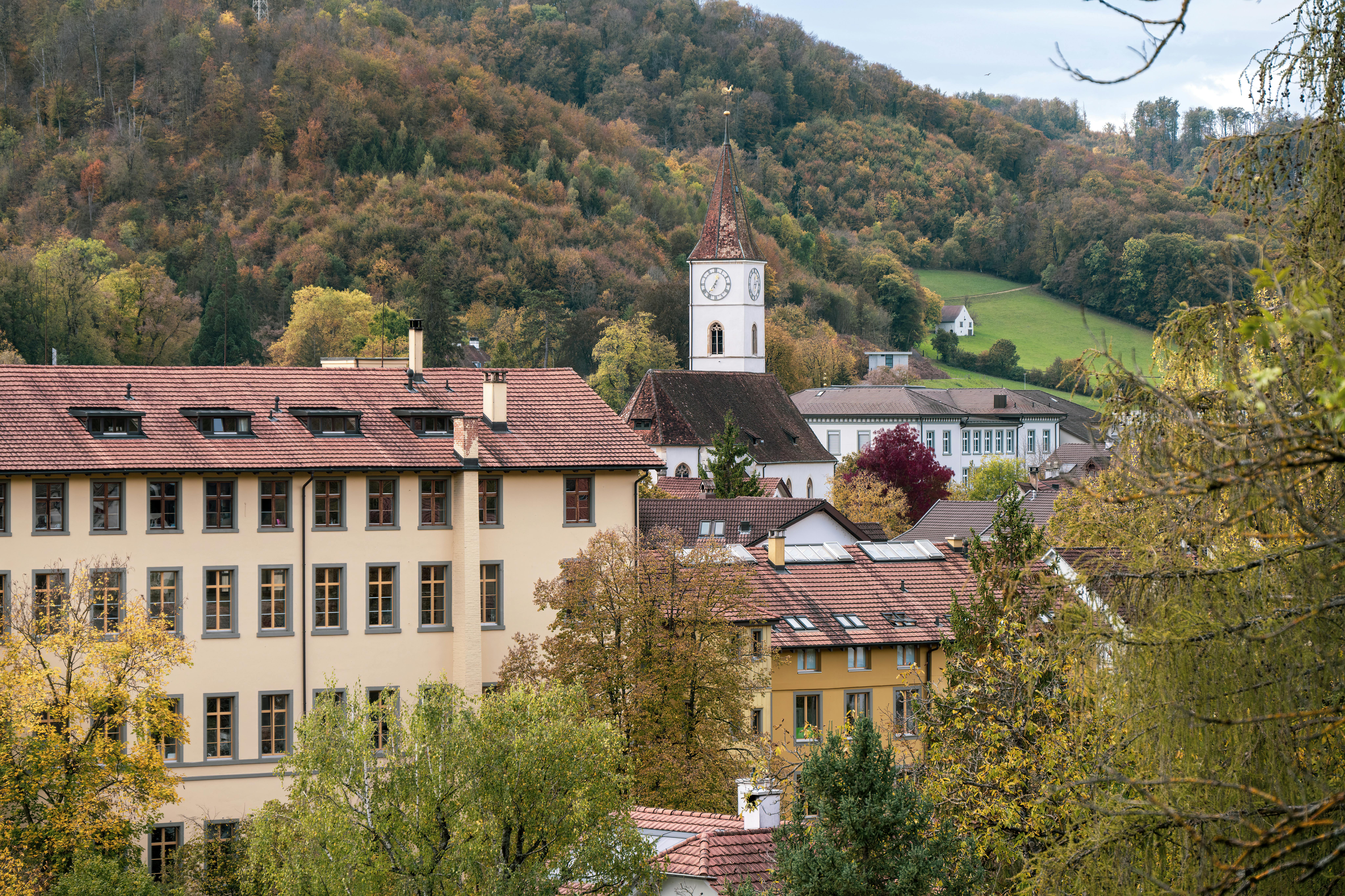 Surrounded by Forest Town Sissach in Switzerland · Free Stock Photo