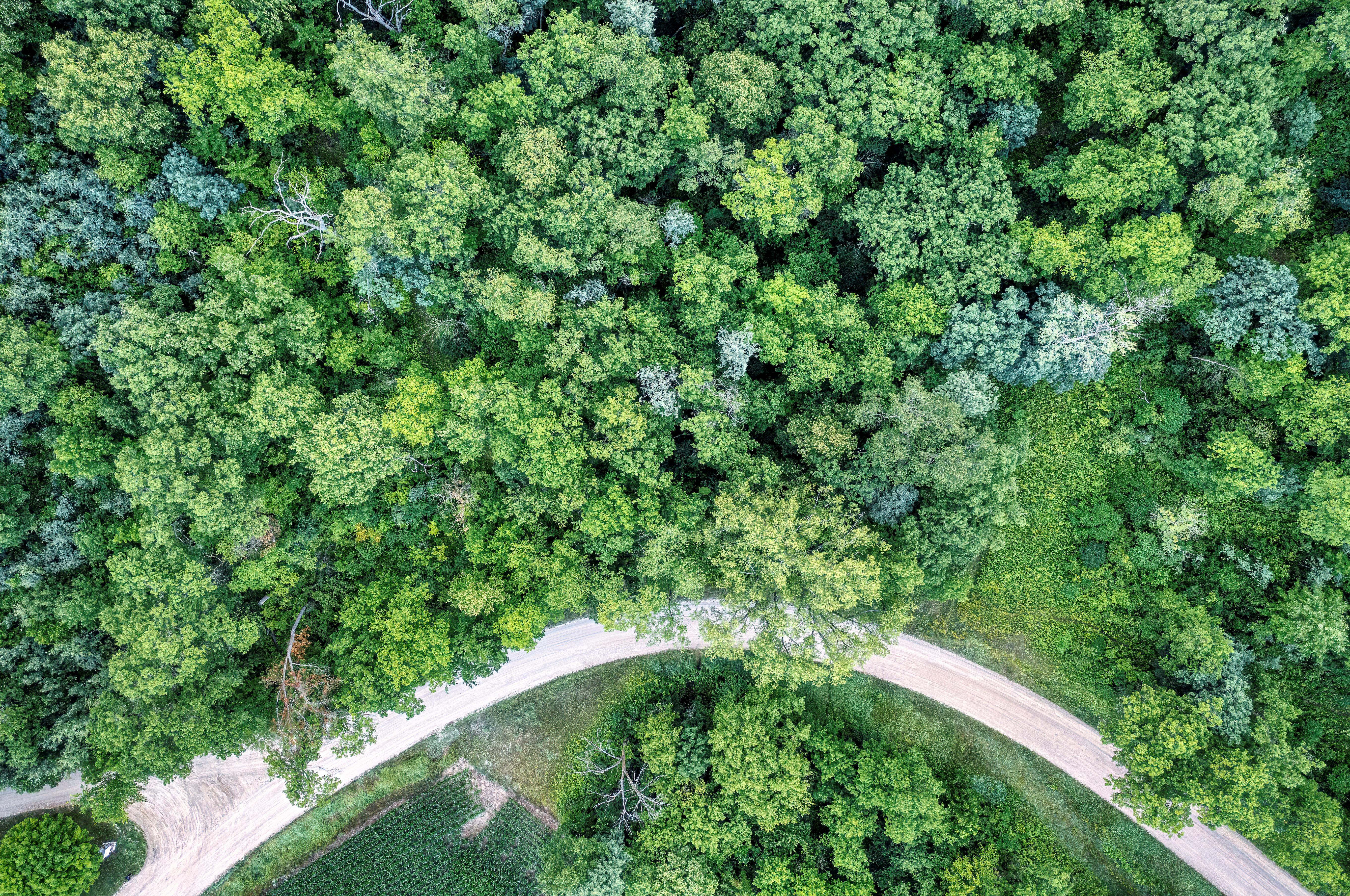 Bend in the Road Near the Forest From a Birds Eye View · Free Stock Photo