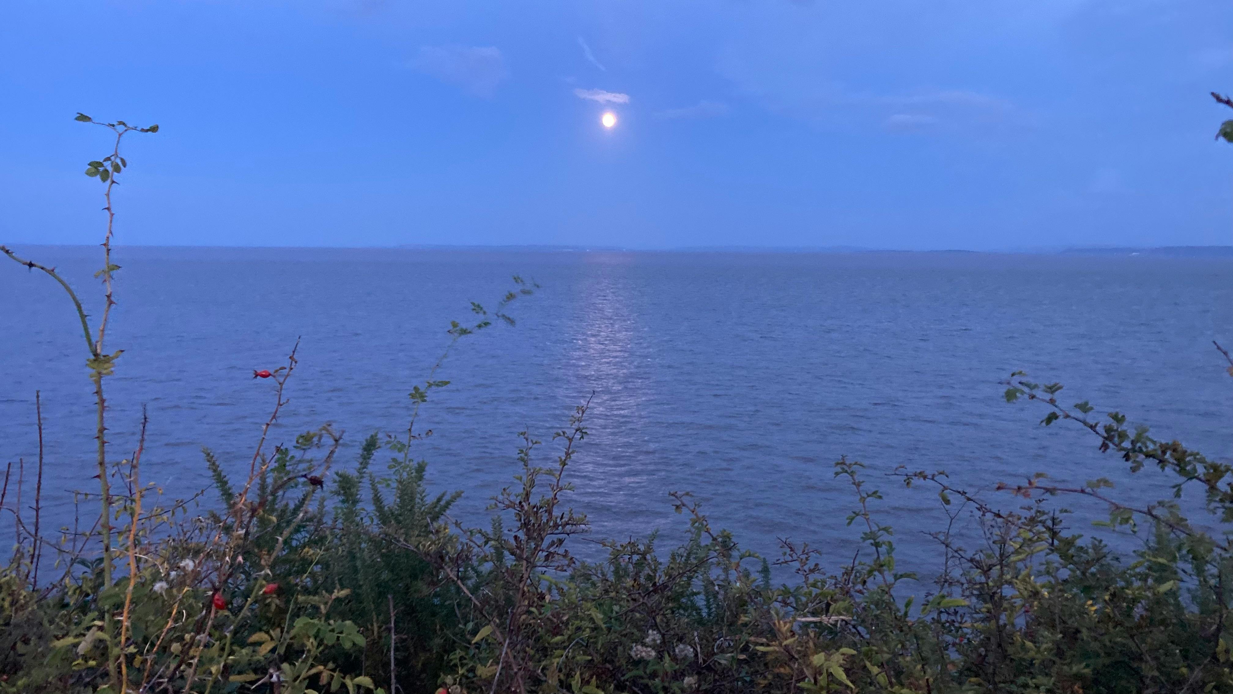 James Goddard - Fotografía