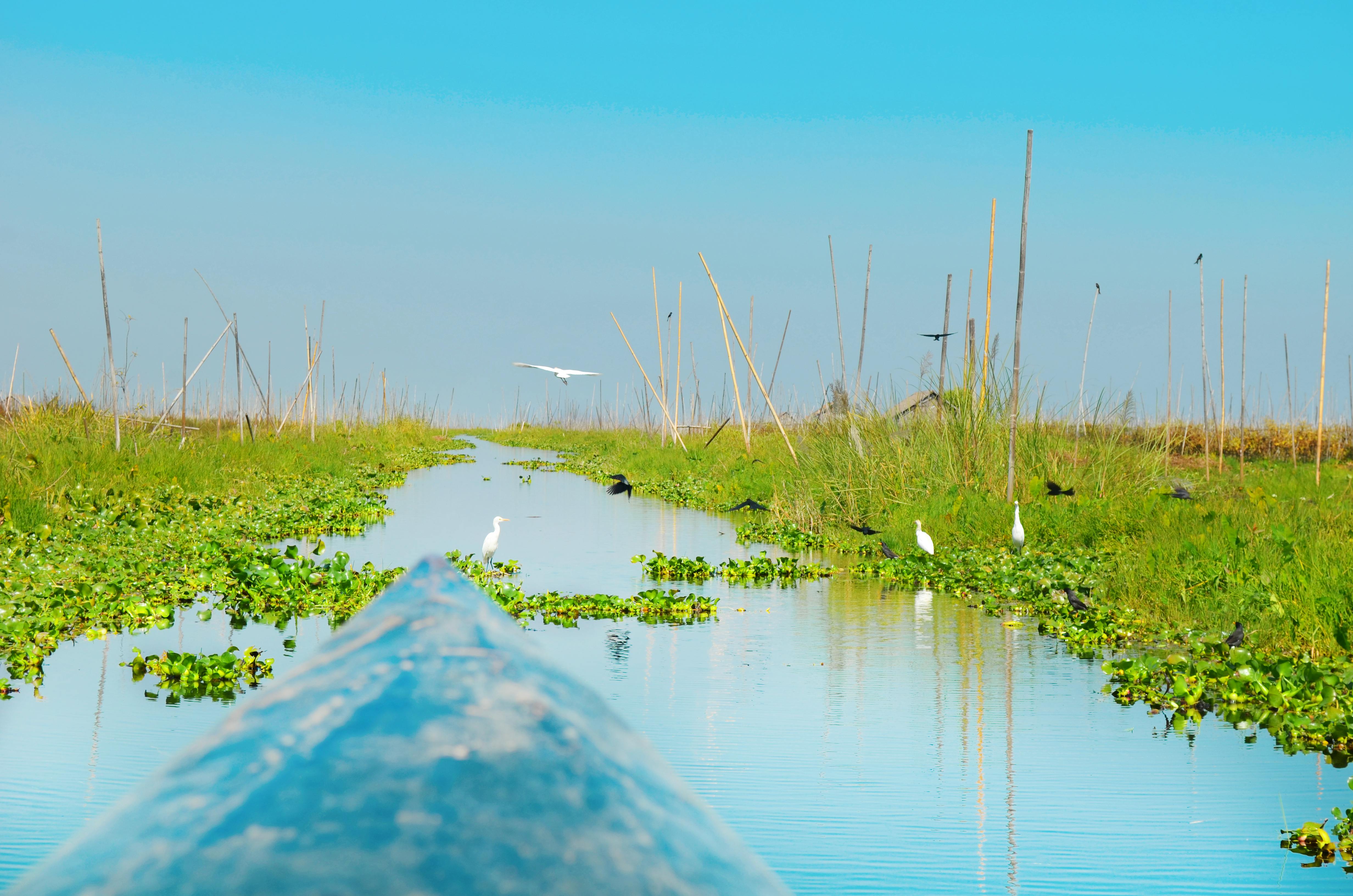 Amy Chandra · Photography