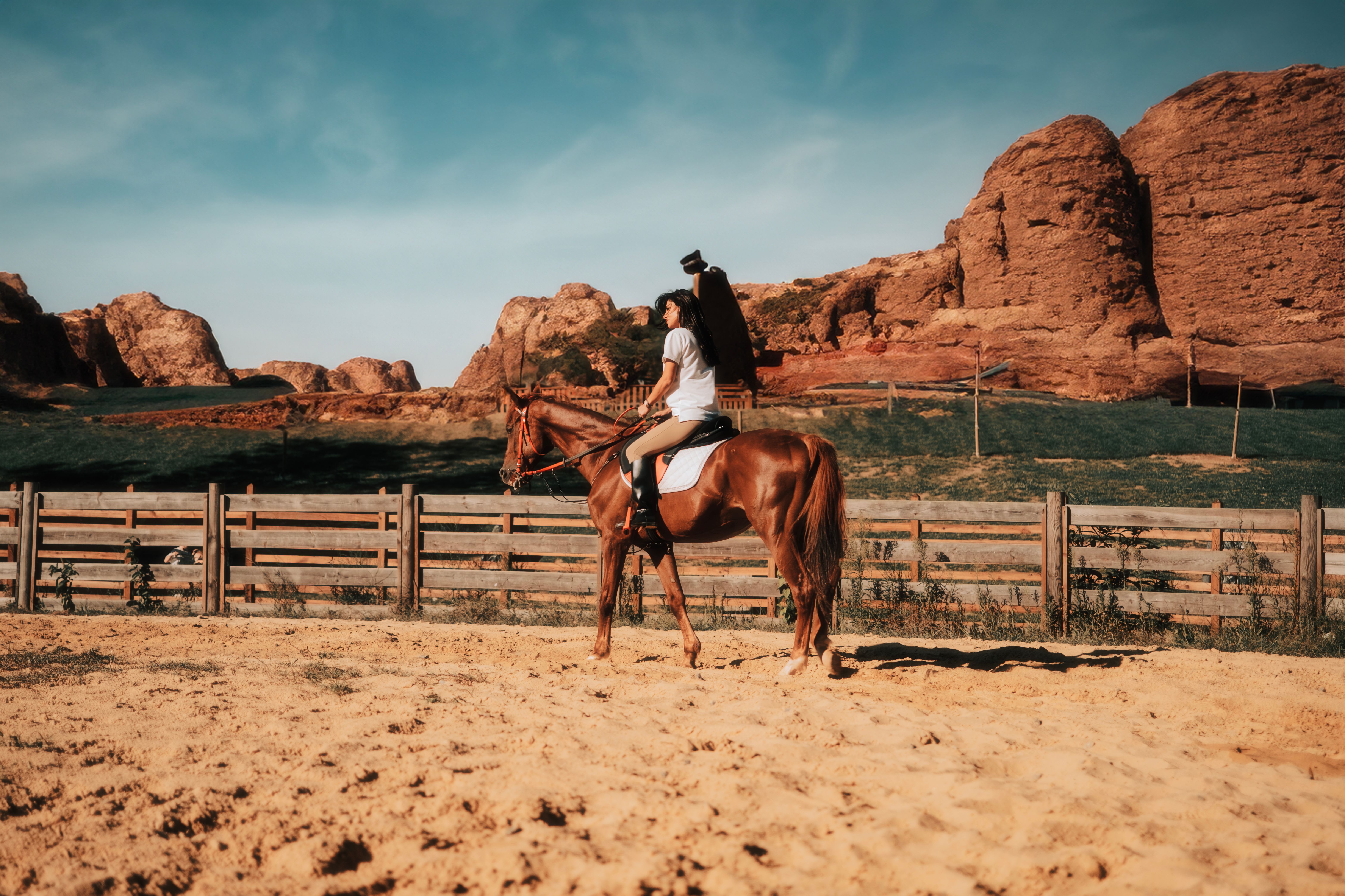 Mature Brunette Riding A Horse Photos, Download The BEST Free Mature ...