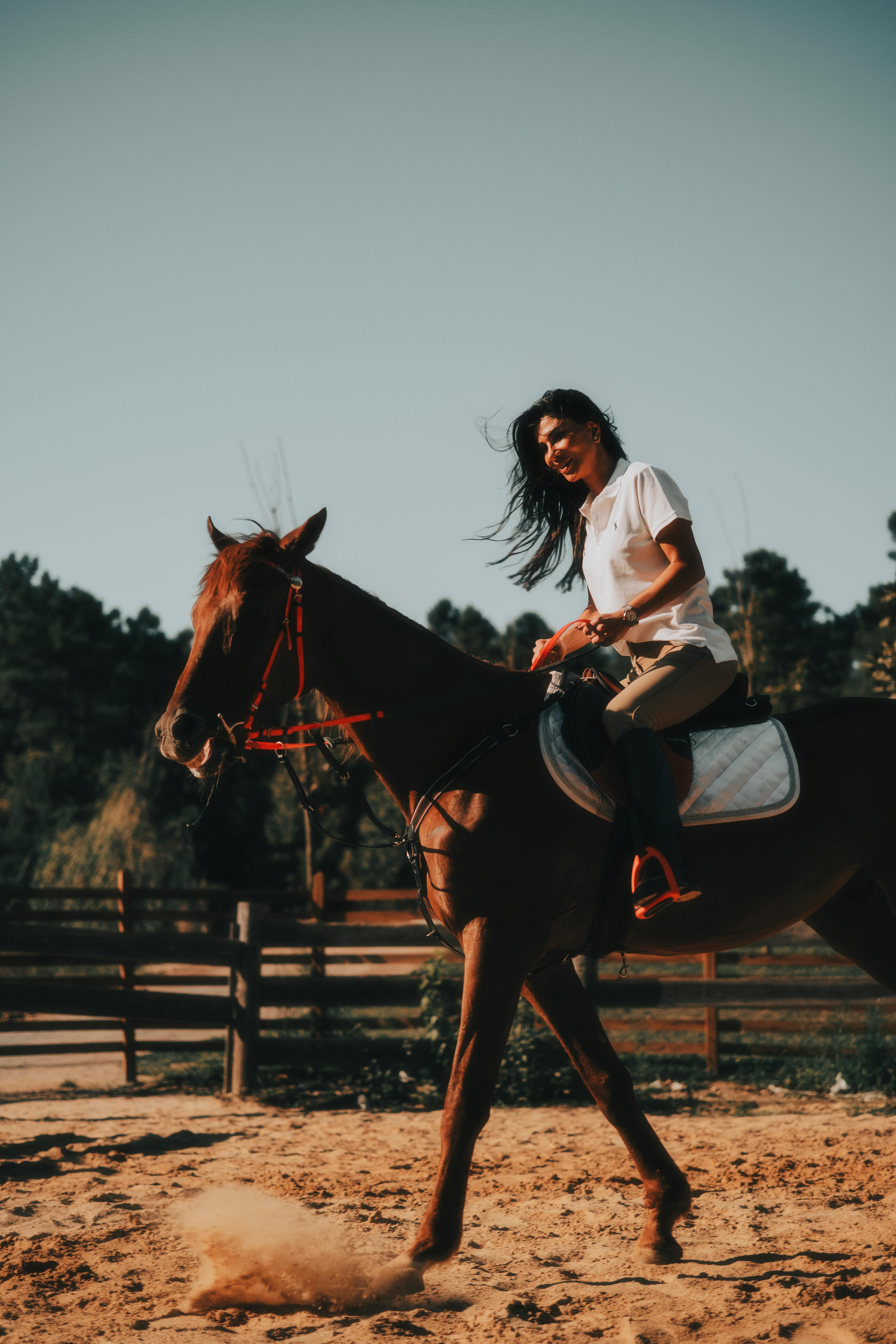 Woman Horseback Riding · Free Stock Photo