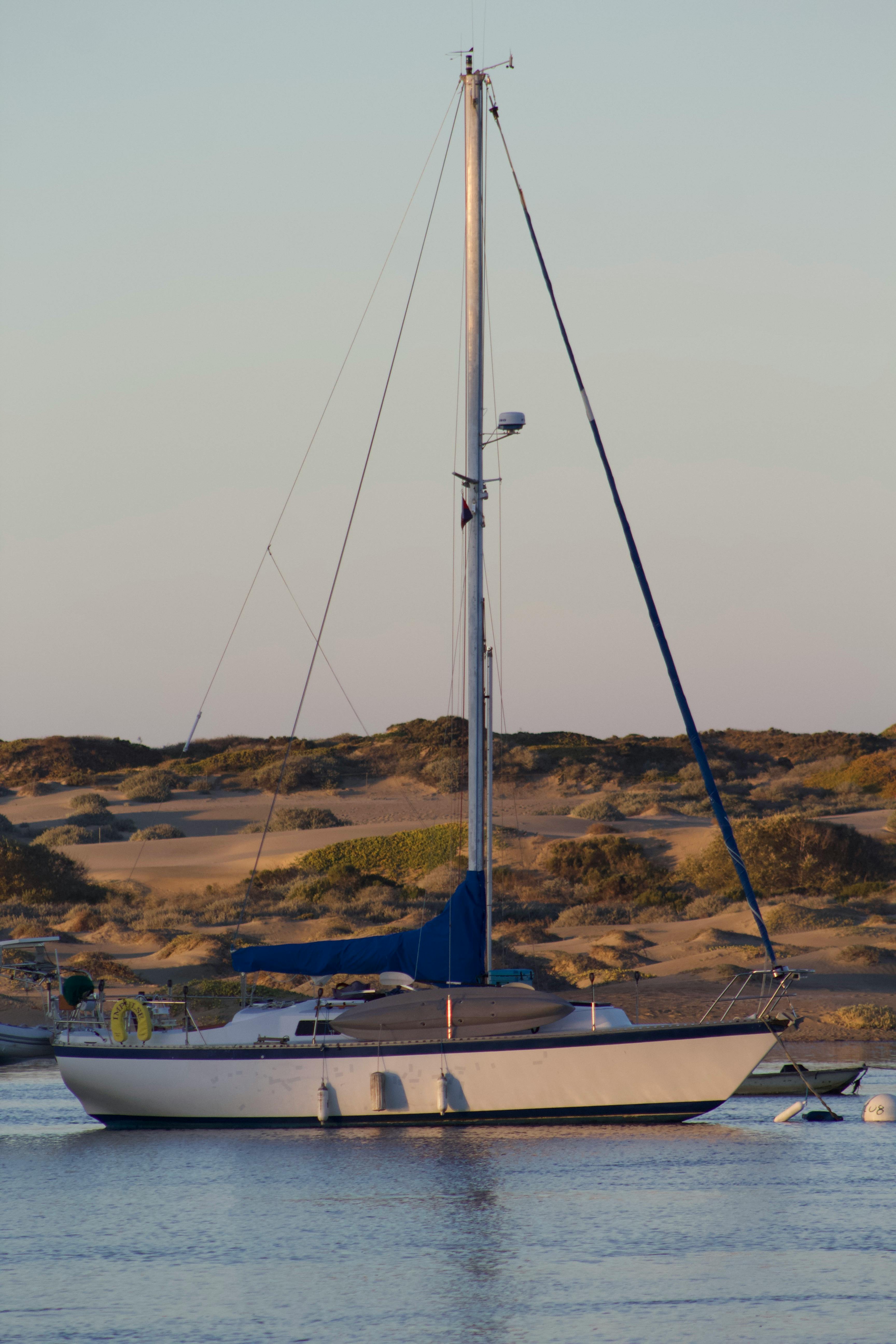 Bloom Vessel Photos, Download The BEST Free Bloom Vessel Stock Photos ...