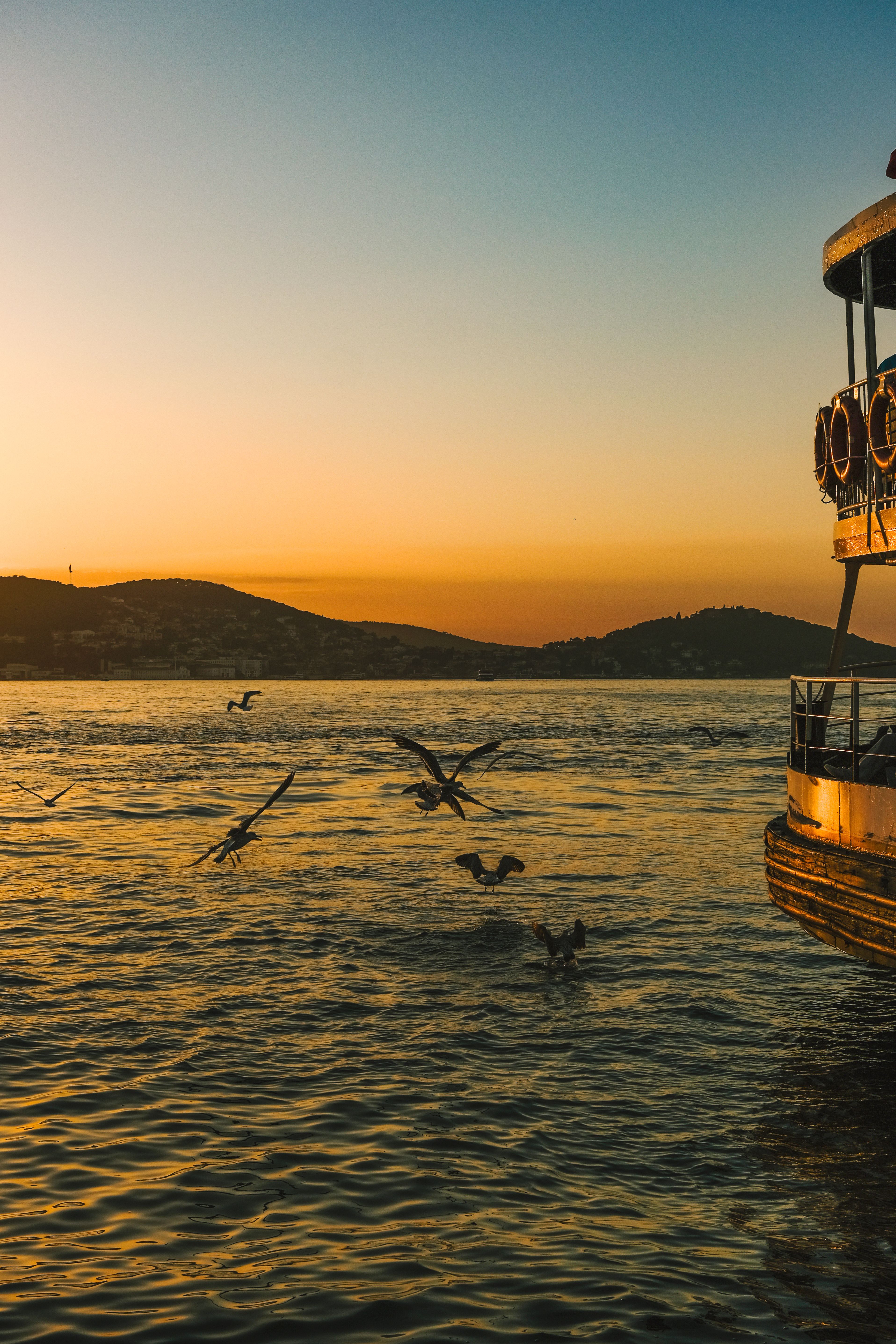 Birds are Resting on Sea by Ferry · Free Stock Photo