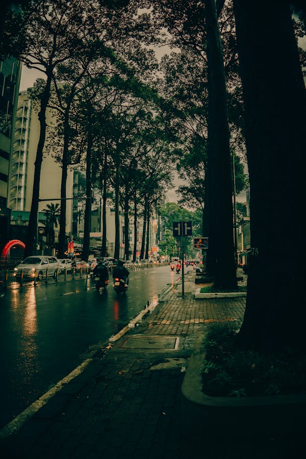 Rainy Alley Photos, Download The BEST Free Rainy Alley Stock Photos ...