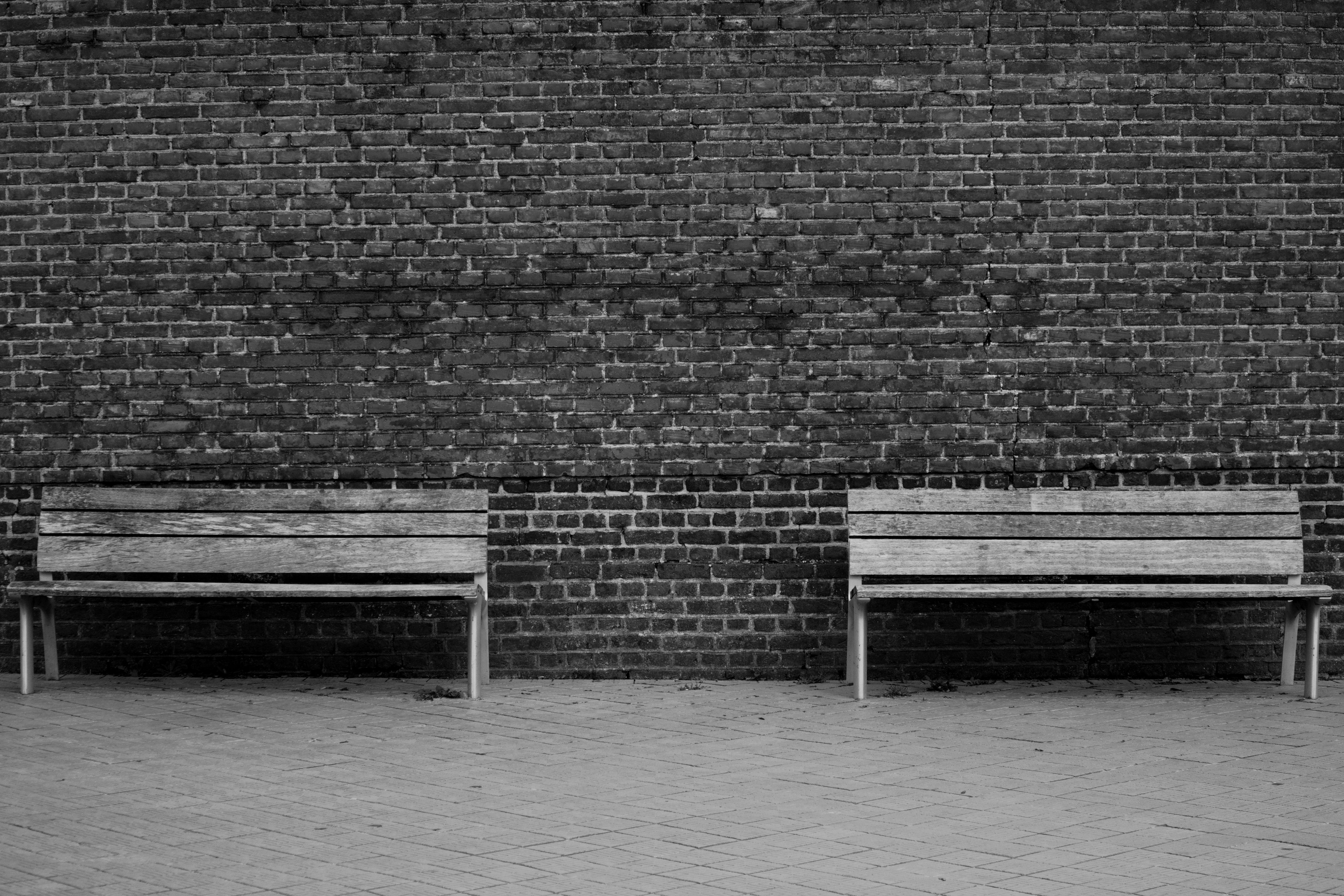 Wooden Benches in Front of Brick Wall in Black and White · Free Stock Photo
