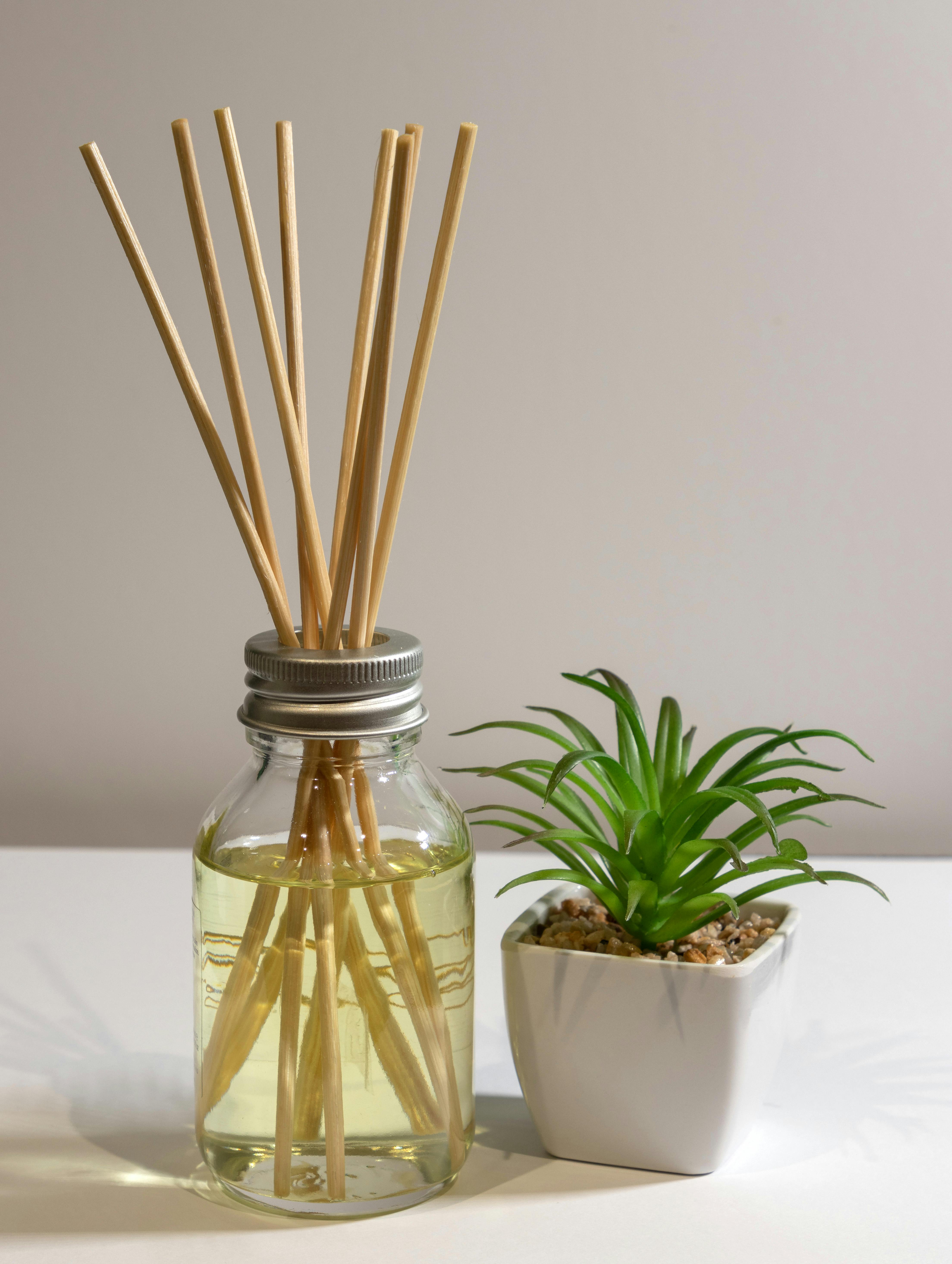 Photo of a Reed Diffuser · Free Stock Photo