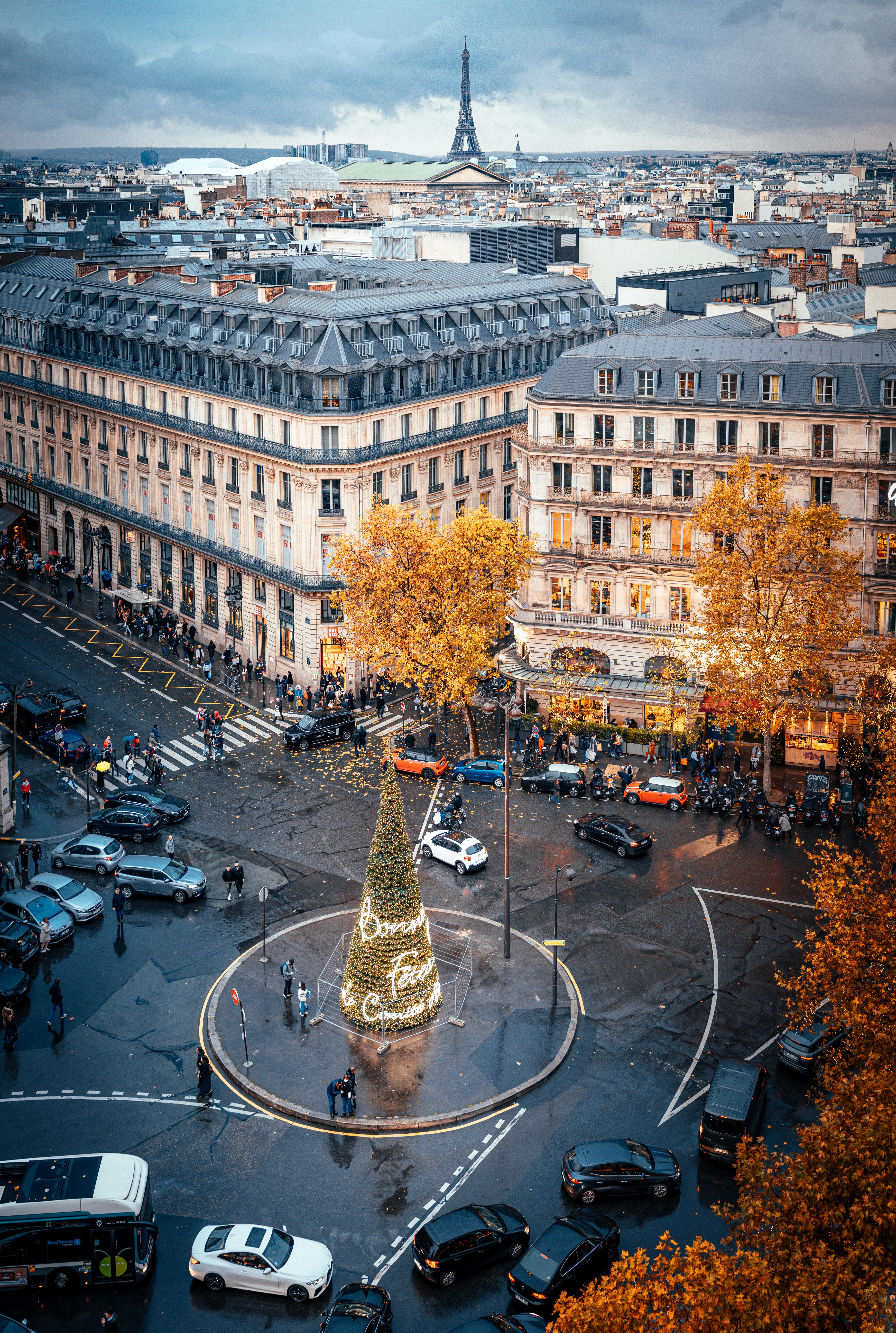 Christmas Tree on City Square · Free Stock Photo